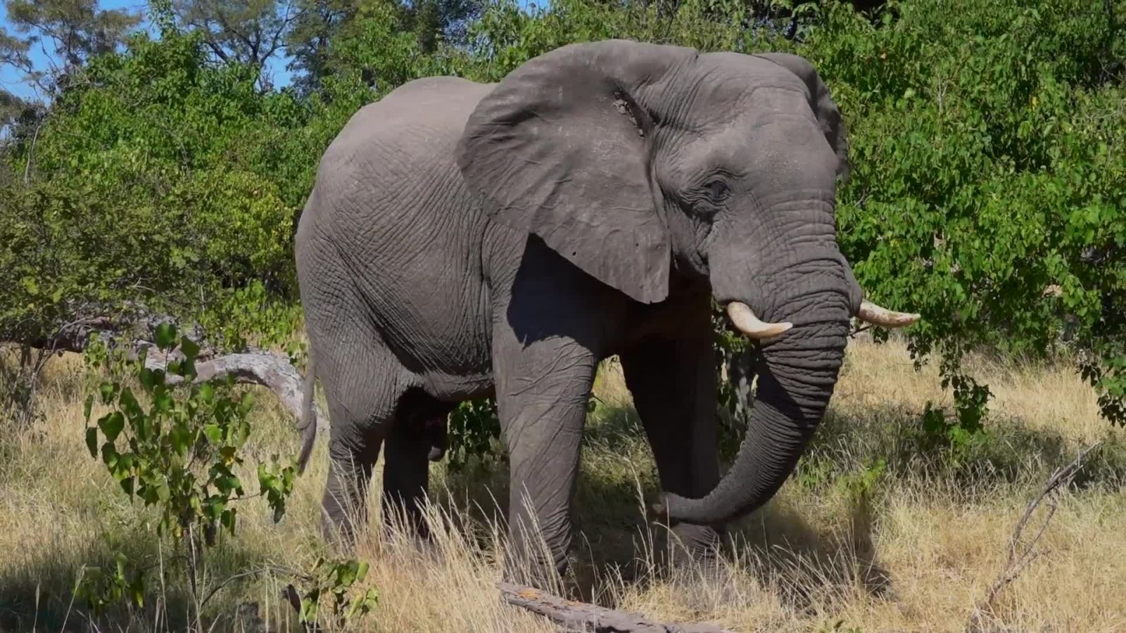 Video | Page 25 | Condé Nast Traveler