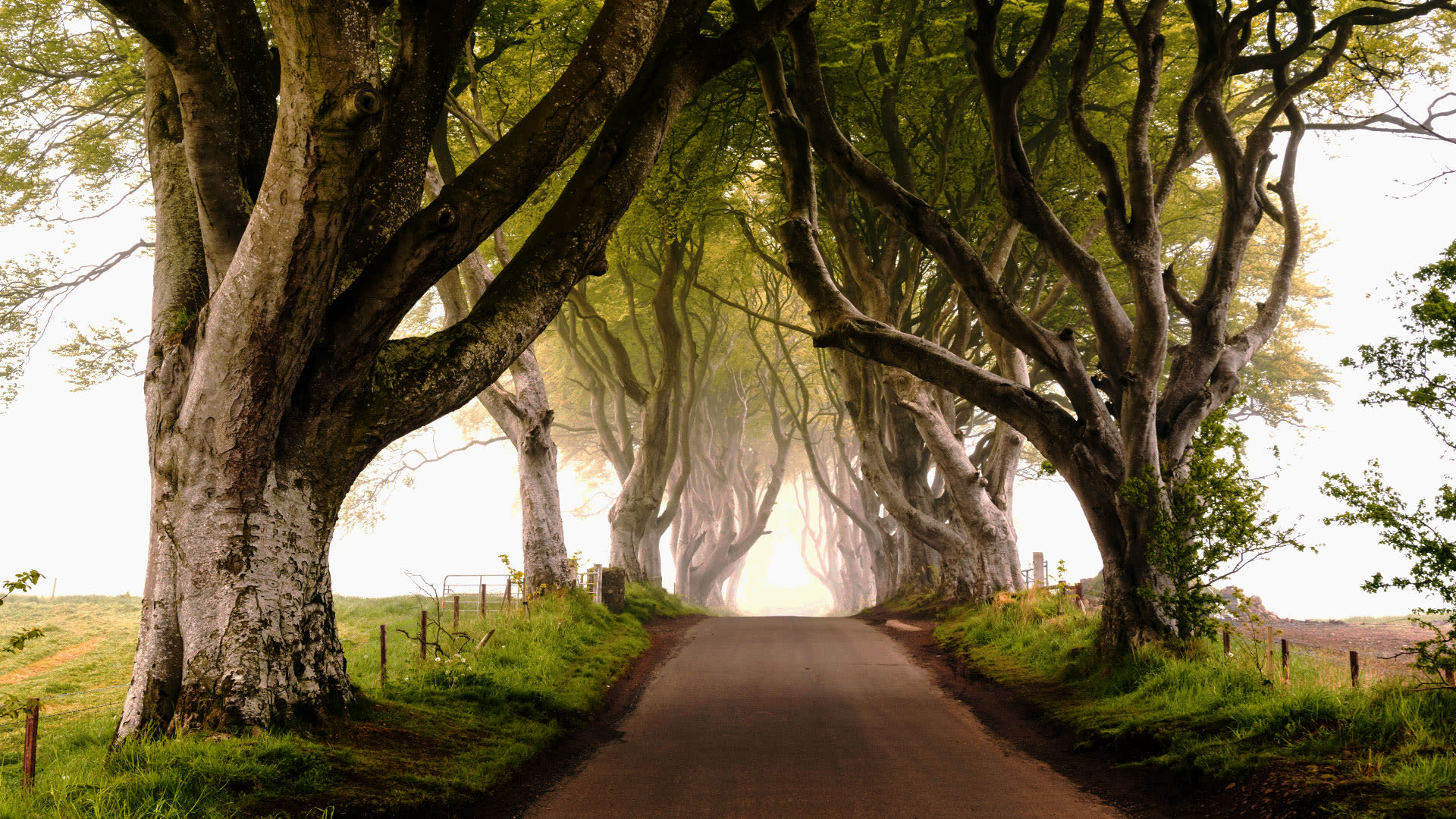 Watch 9 of the Most Beautiful Streets in the World | Architectural Digest