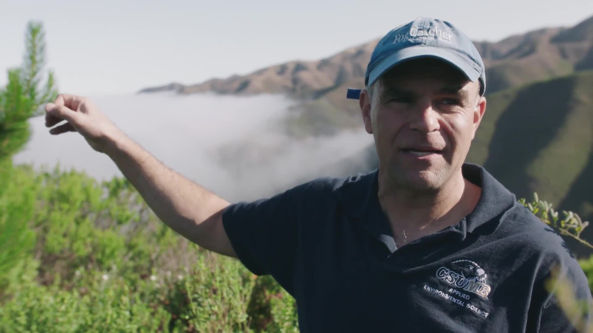 Watch Catching Fog | Architectural Digest