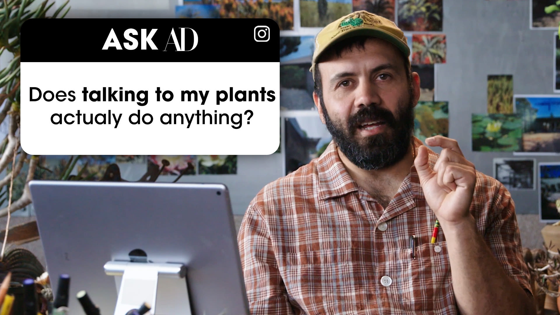 Watch Landscape Designer Answers Garden Questions From Instagram | Q&AD ...