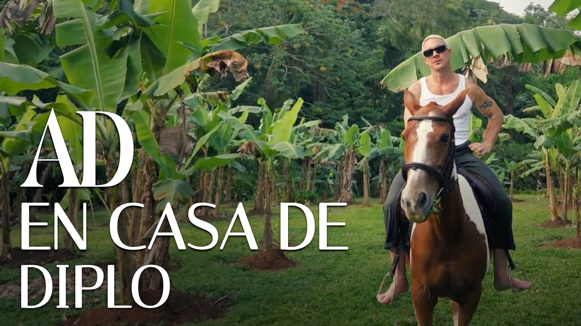 Watch Diplo te lleva a conocer su villa en Jamaica donde se inspira para componer | En casa de ...