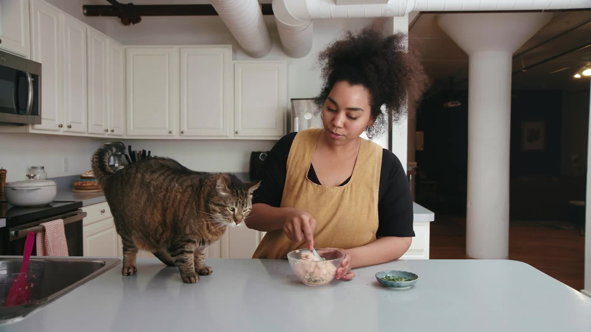 Watch Love is in the Details Cat-ching Up With Jerrelle Guy | Bon Appétit