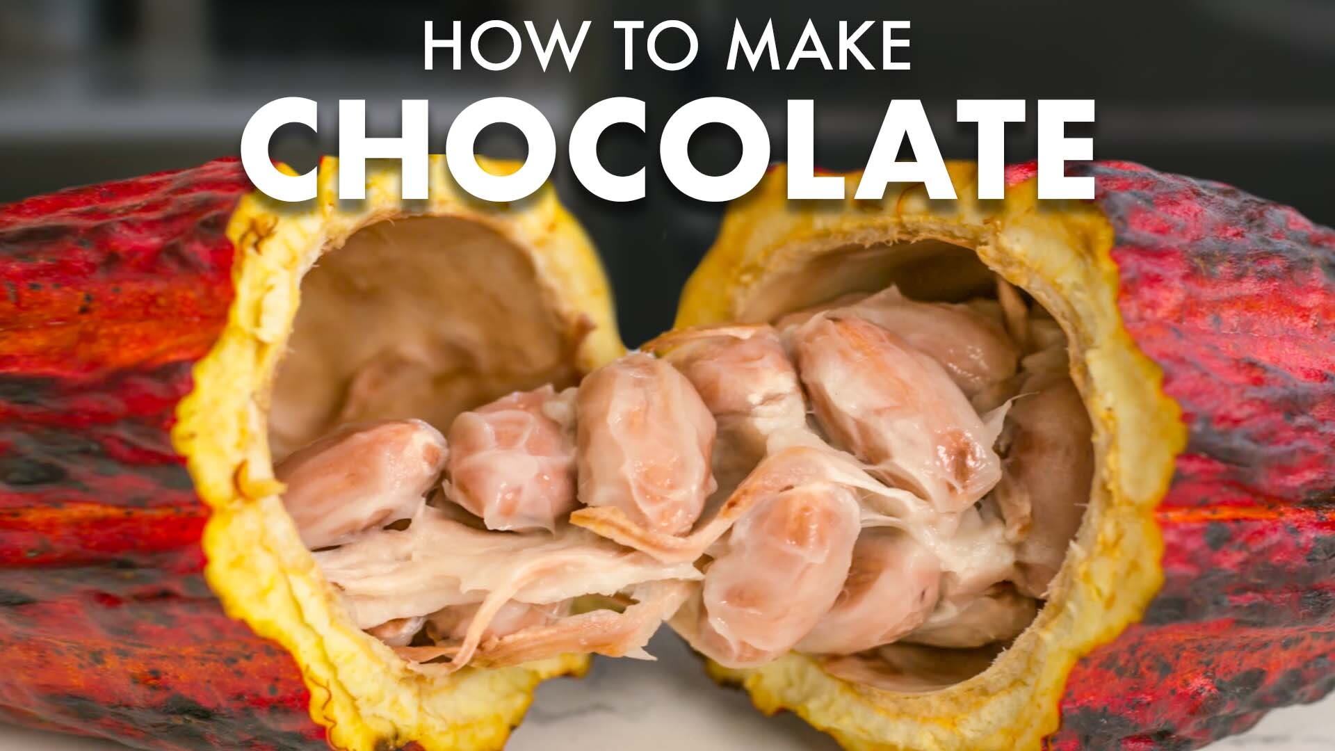 Watch How to Make Your Own Chocolate | Bon Appétit