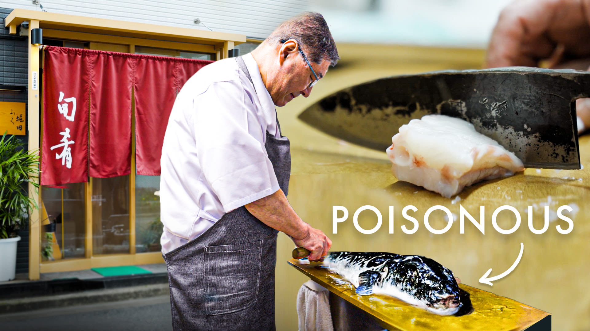 Watch Chefs Train for Years to Serve This Rare Poisonous Fish | Masters ...