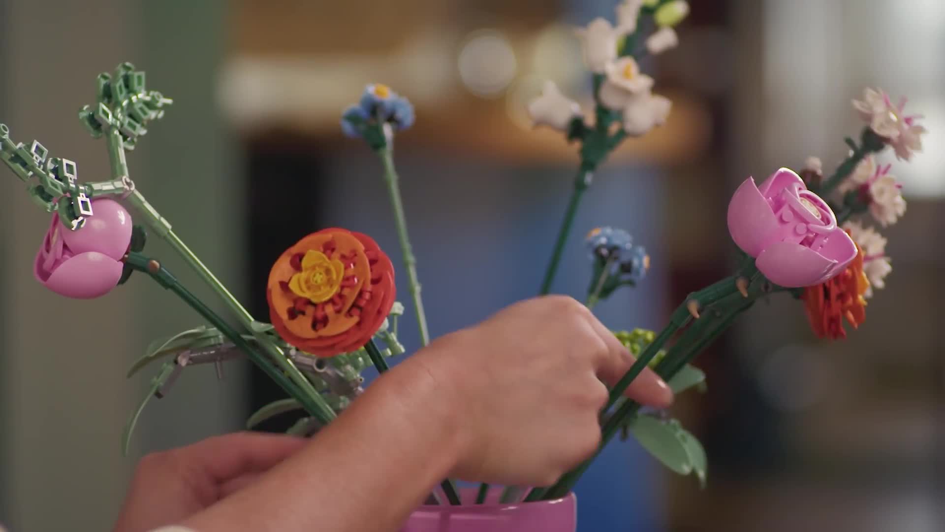 Watch Dine & Unwind | Bon Appétit