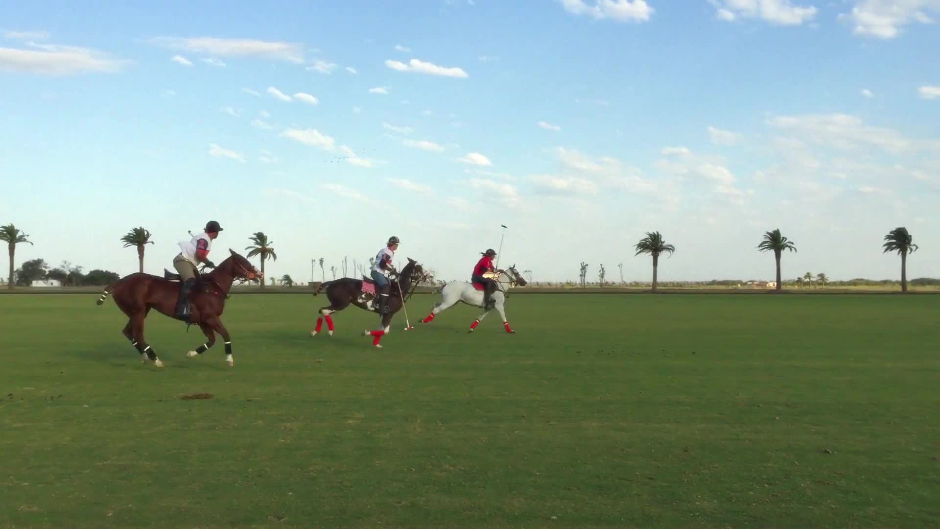 Watch Playing Polo: The Sport of Kings in Argentina | Condé Nast Traveler
