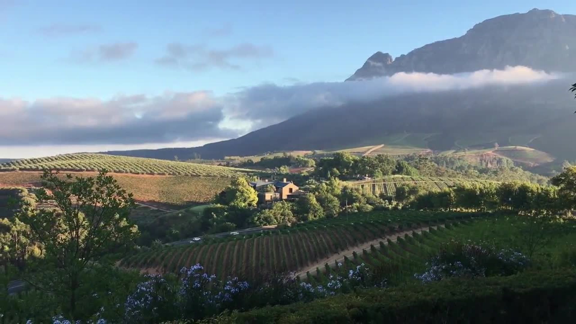 Watch A Drive Through Beautiful Cape Town | Condé Nast Traveler