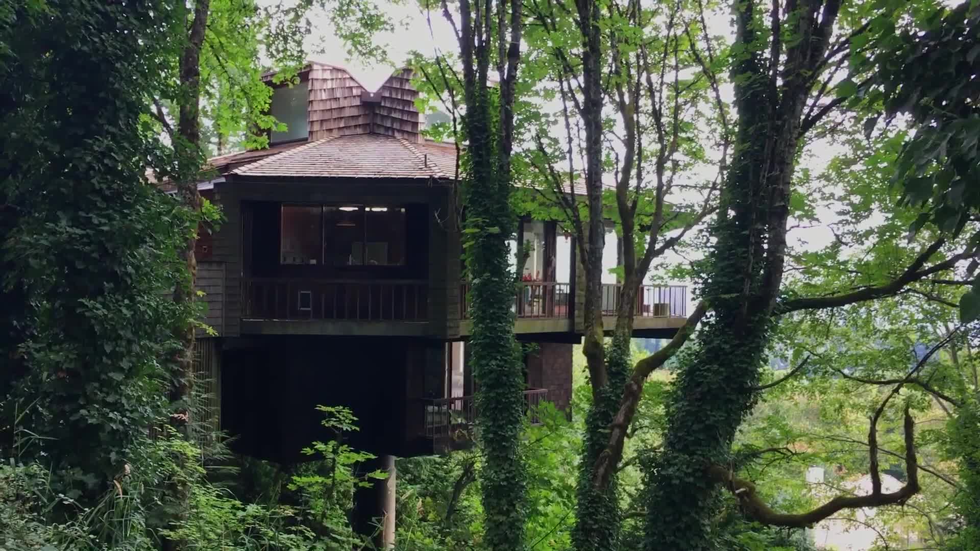 Watch Treehouse Living | Condé Nast Traveler