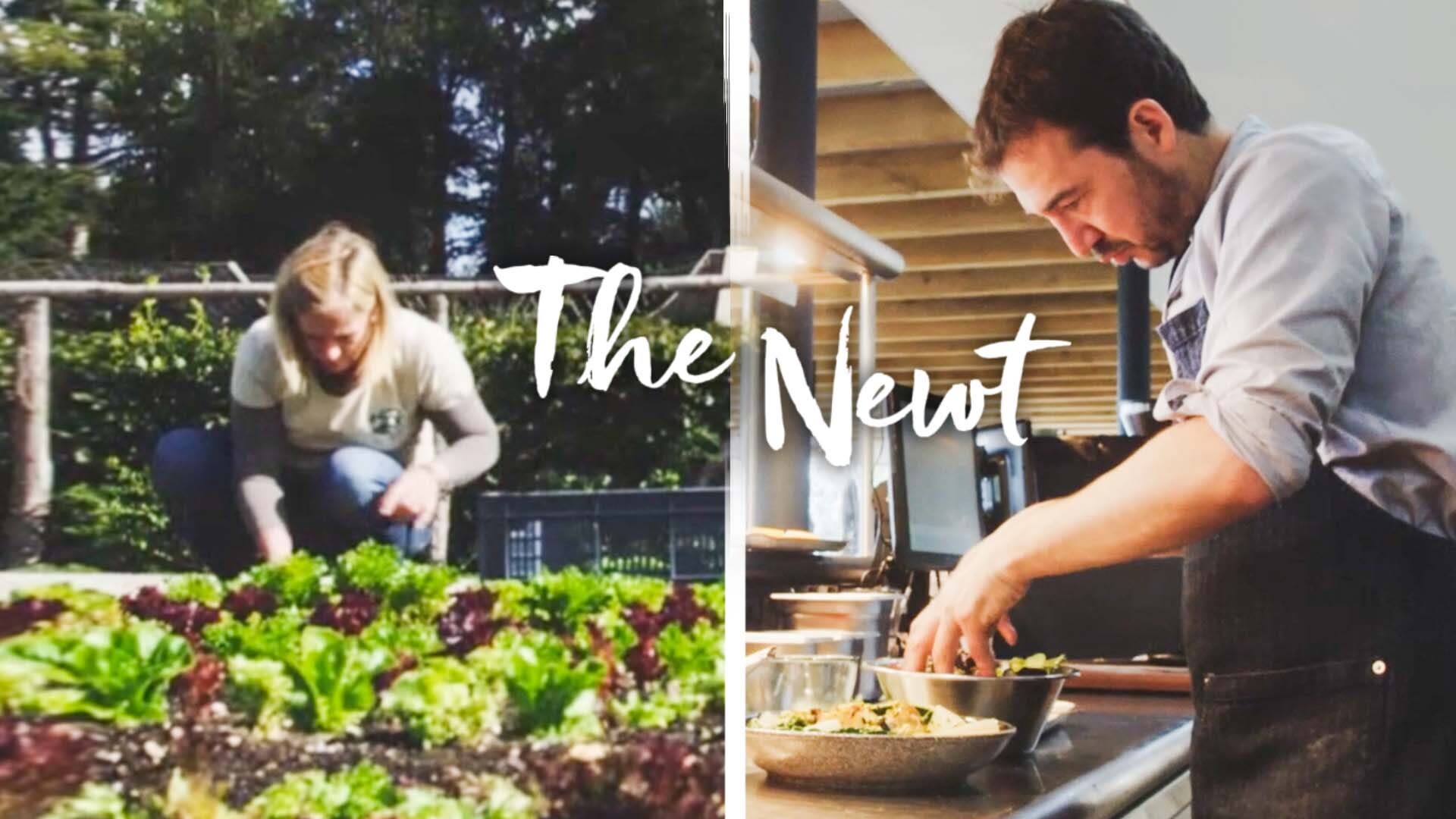Watch Revitalizing Farm-To-Table At The Newt In Somerset | A Typical ...