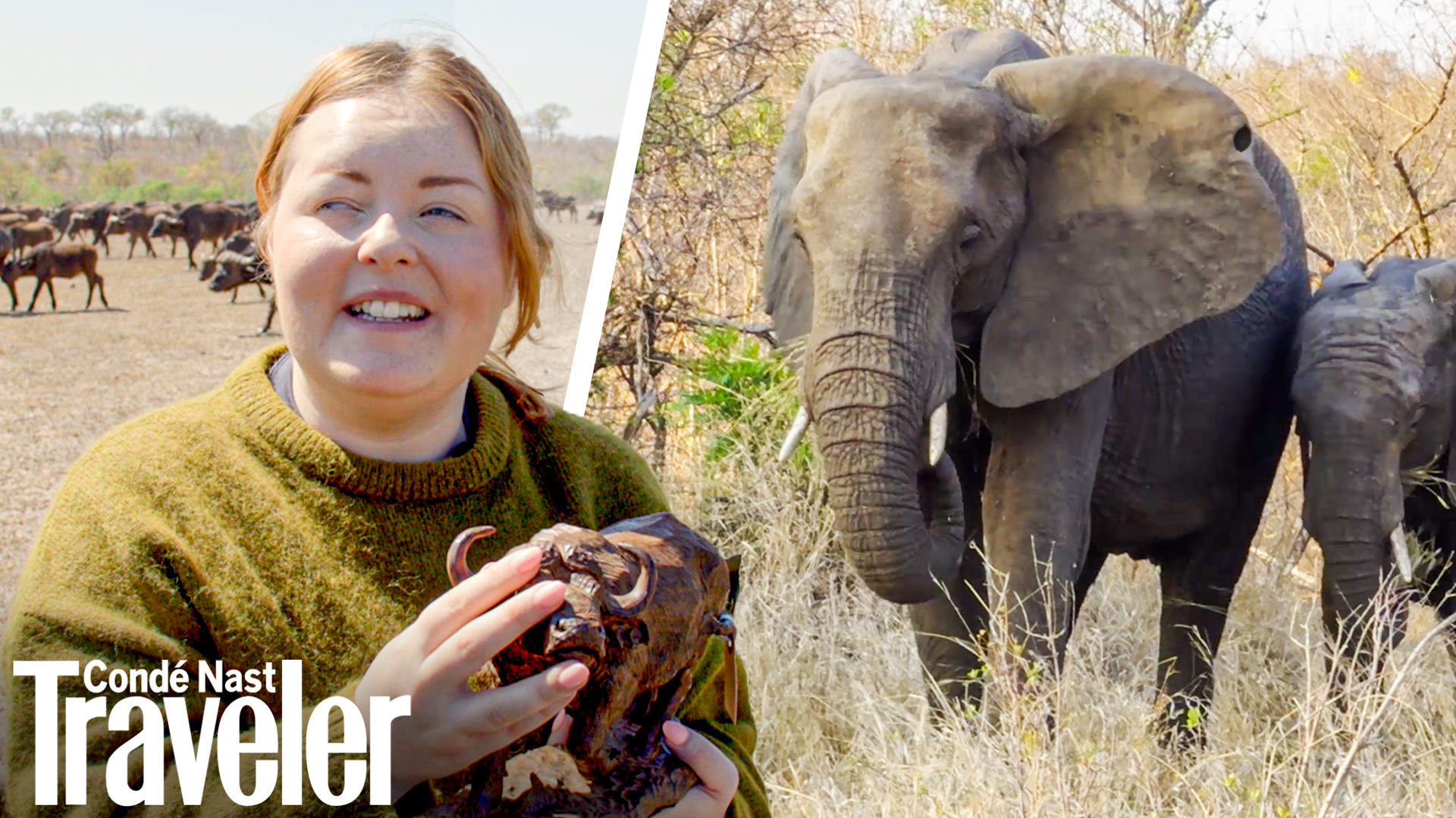 Watch How a Blind Traveler Experiences Safari Using Sound, Smell ...