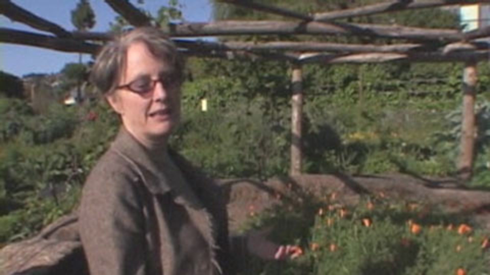 Watch Alice Waters Gives a Tour of the Edible Schoolyard | Chef ...