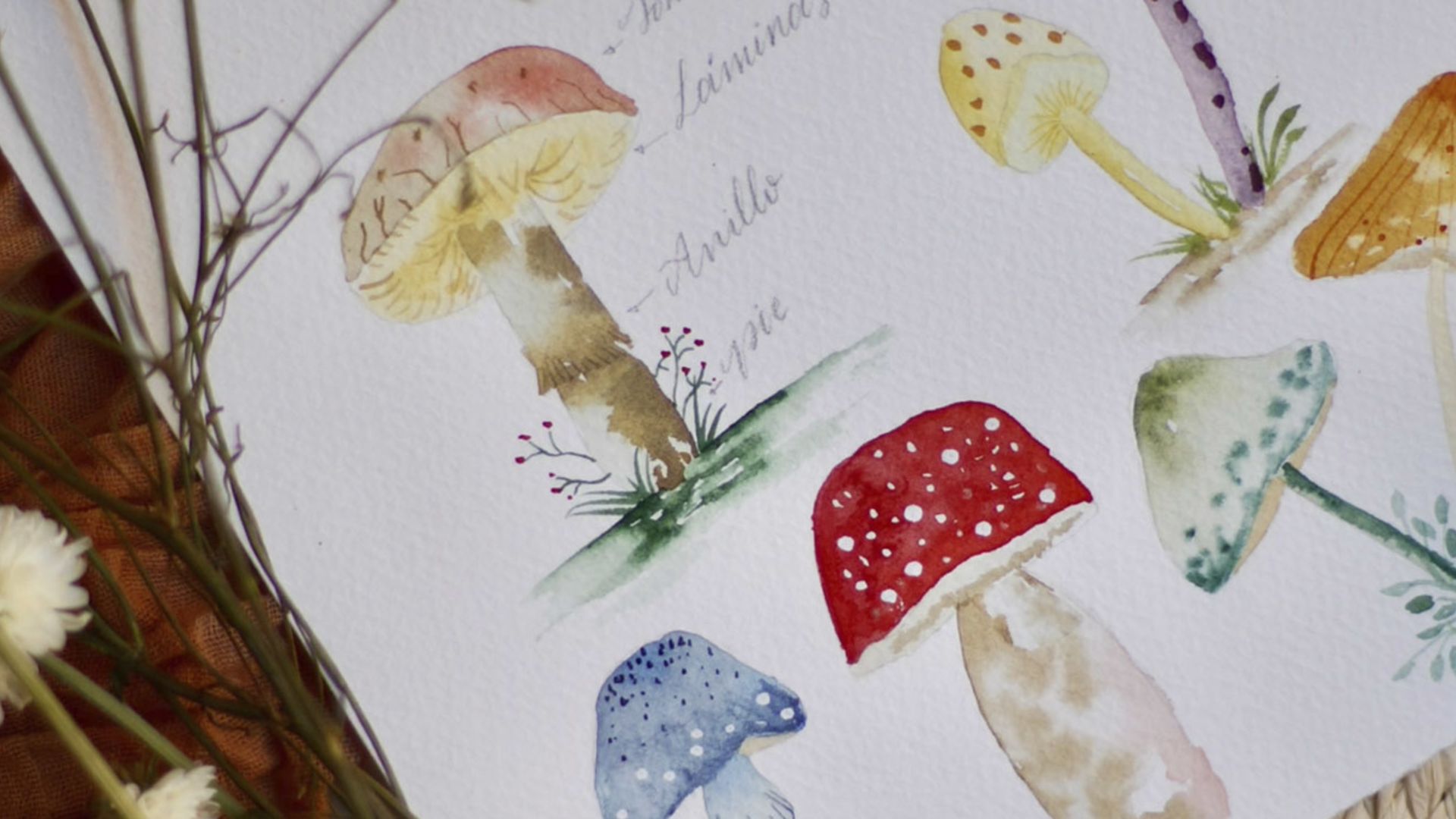 Watch Aprende a dibujar setas en acuarela con @filledusoleil