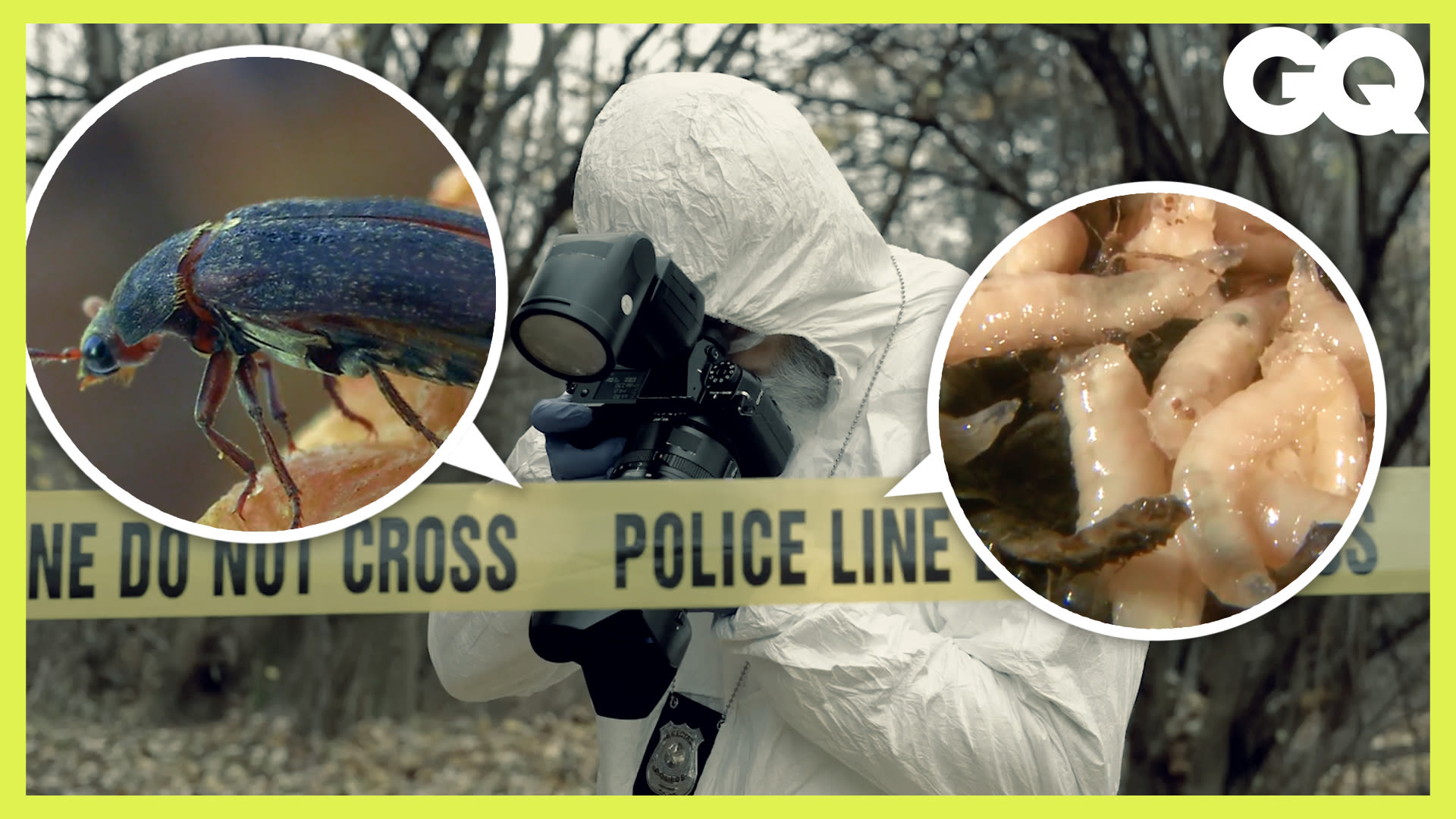 Watch 蒼蠅協助破案！法醫昆蟲學家如何利用昆蟲還原命案現場？ How Bugs Help Solve Crimes｜科普長知識｜GQ Taiwan | 科普長知識 | GQ Taiwan
