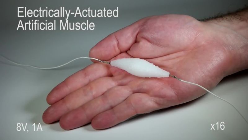 Watch The soft future of robotics | Ars Technica Video | CNE