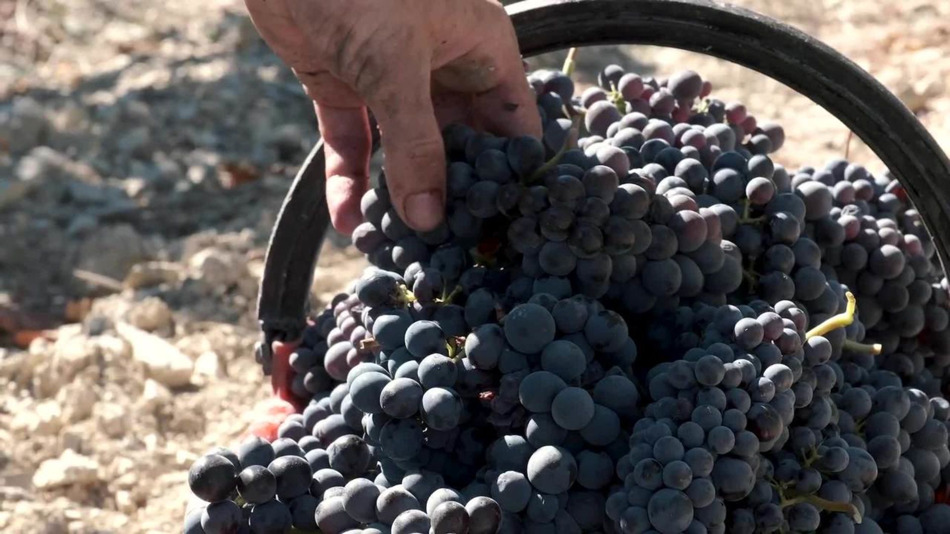 Watch Tenuta Perano | La Cucina Italiana