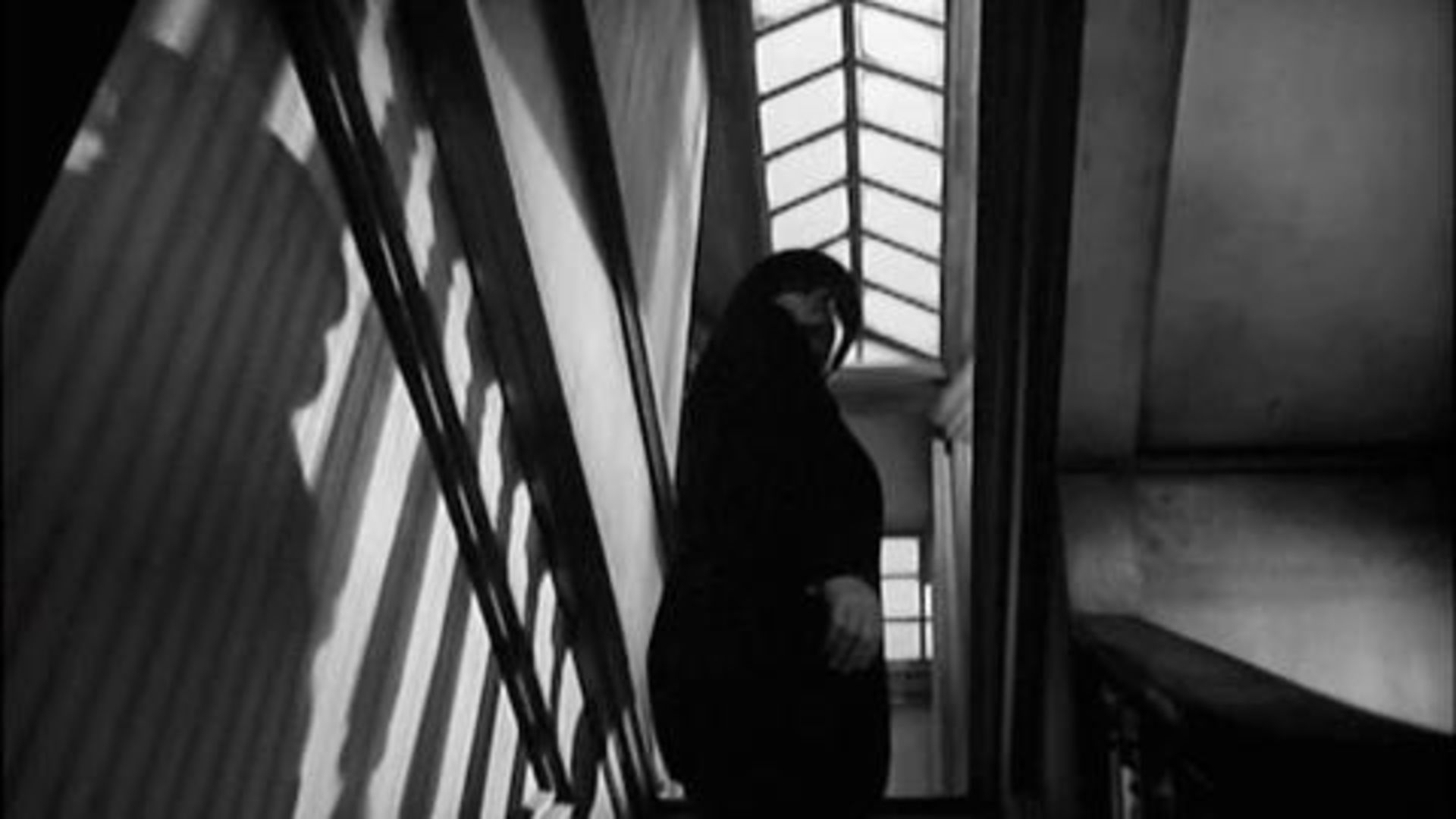 Watch "Force of Evil" | The Front Row | The New Yorker