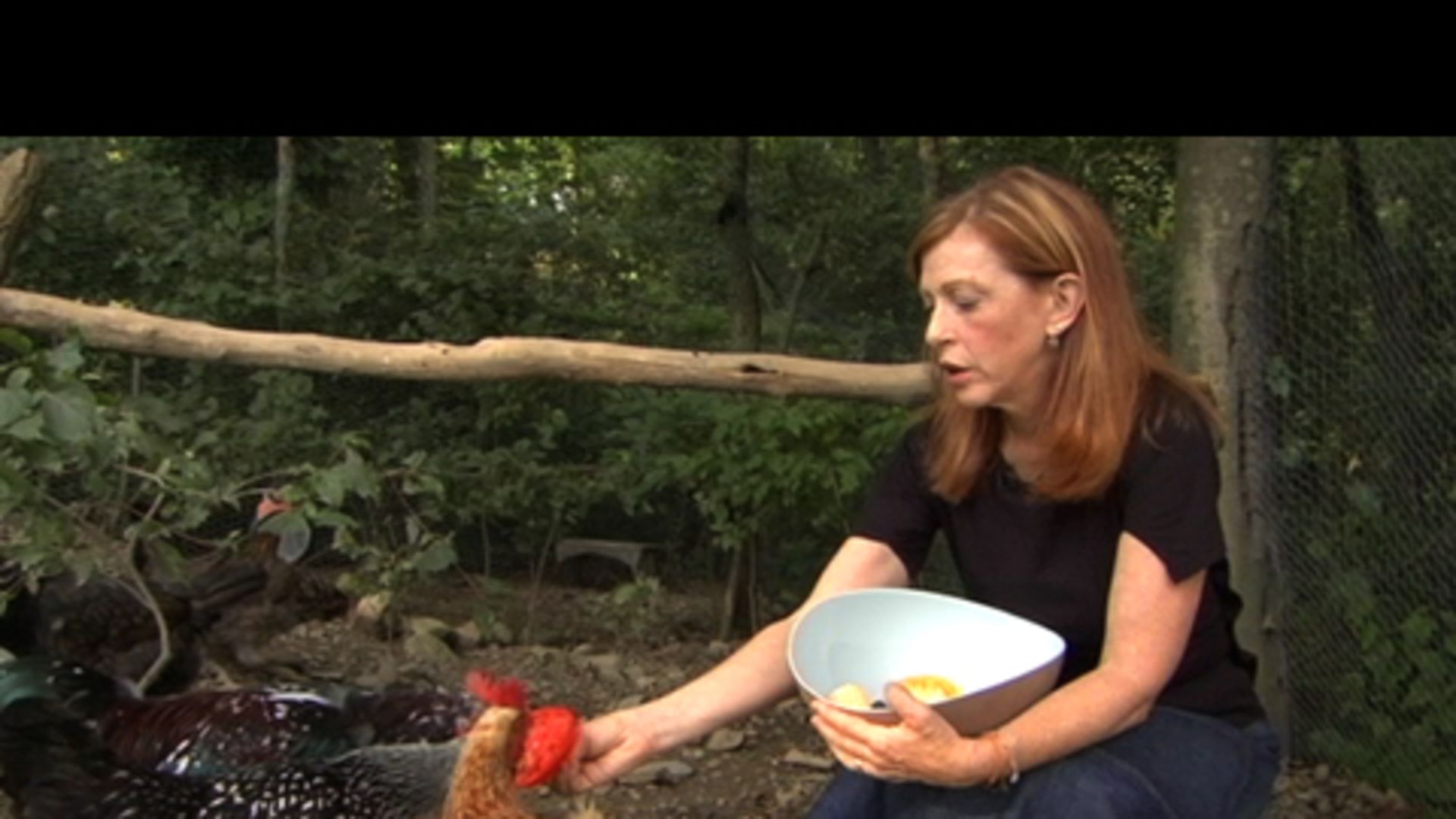 Watch Visiting Susan Orlean’s Chicken Coop | Notes from All Over | The ...