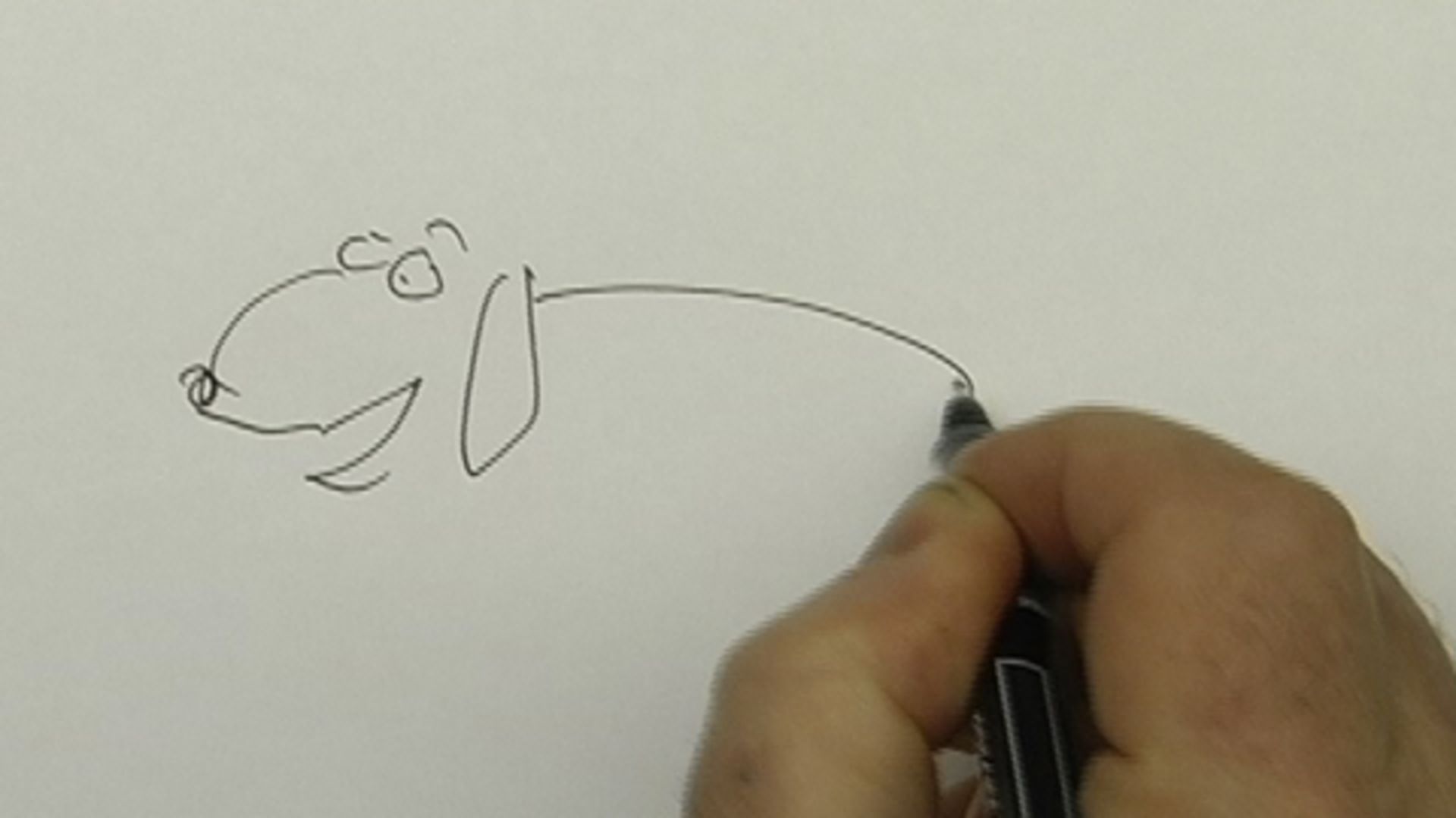 how to draw the dog in numbers