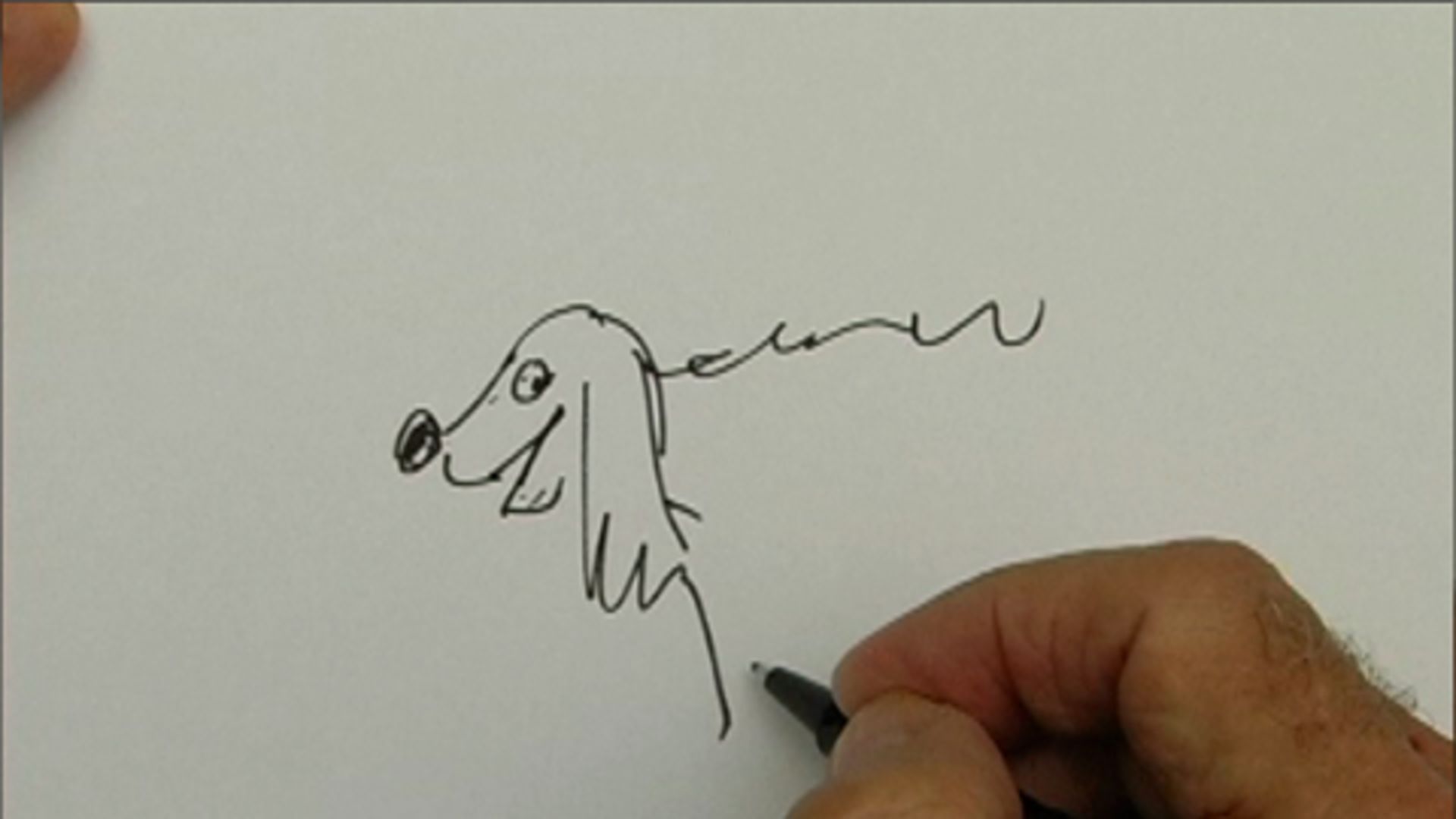 Watch Draw-a-Dog: Mort Gerberg | Sketchbook | The New Yorker