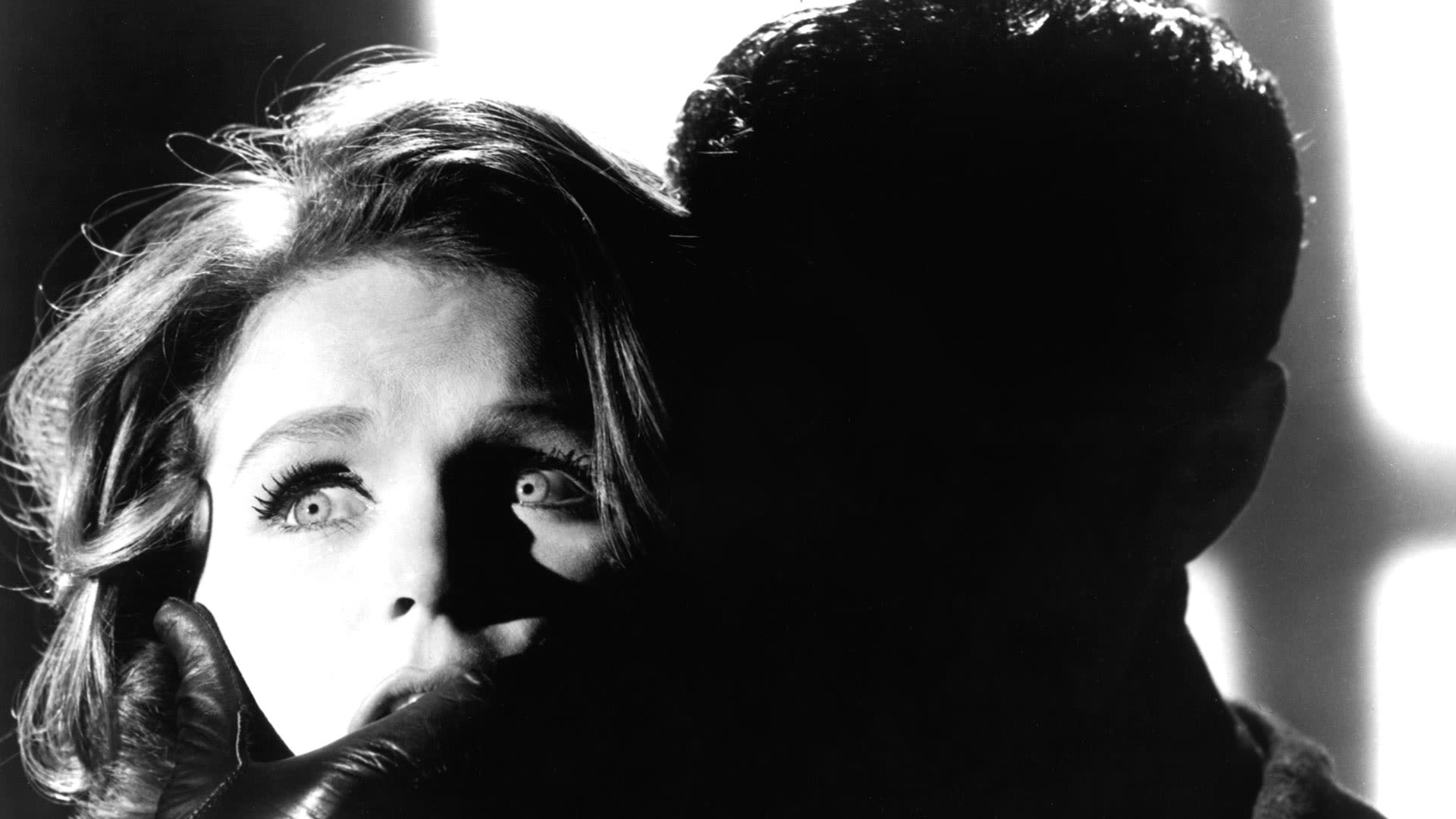 Watch “Experiment in Terror” | The Front Row | The New Yorker