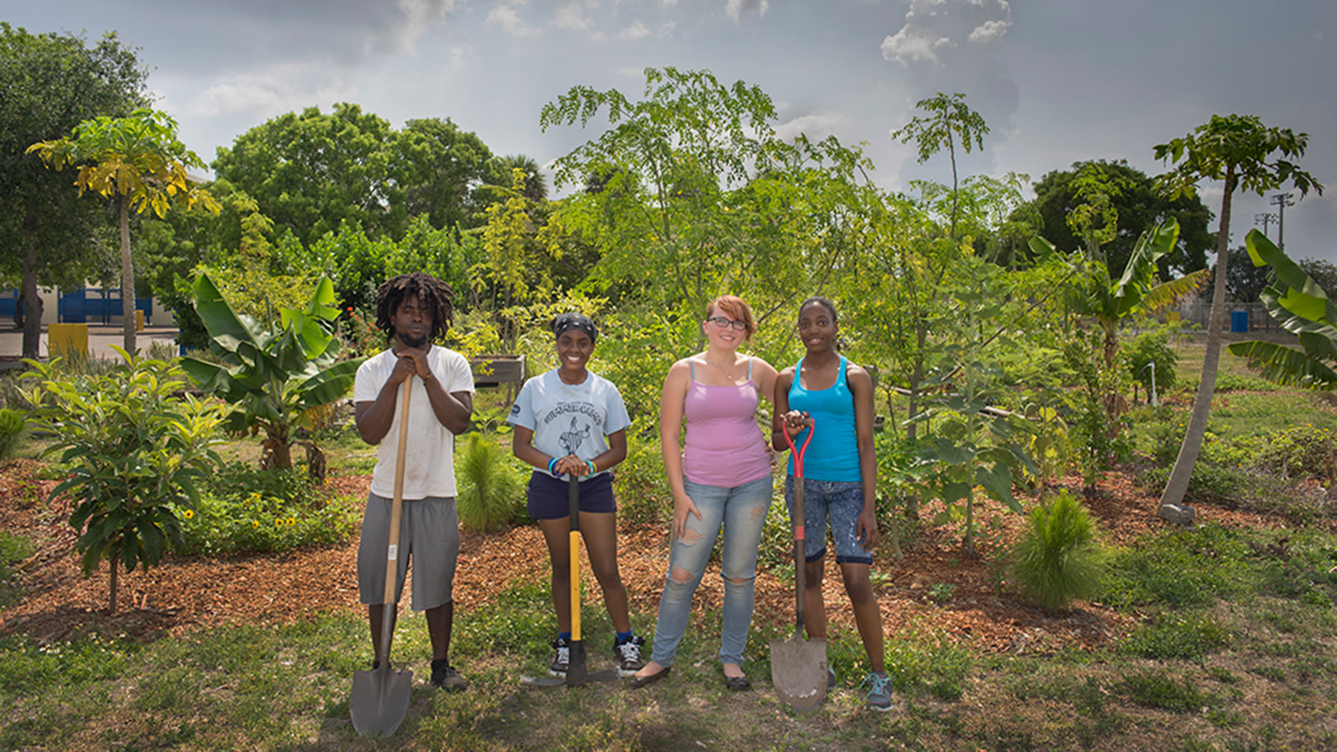 Watch Climate and Gentrification | The New Yorker