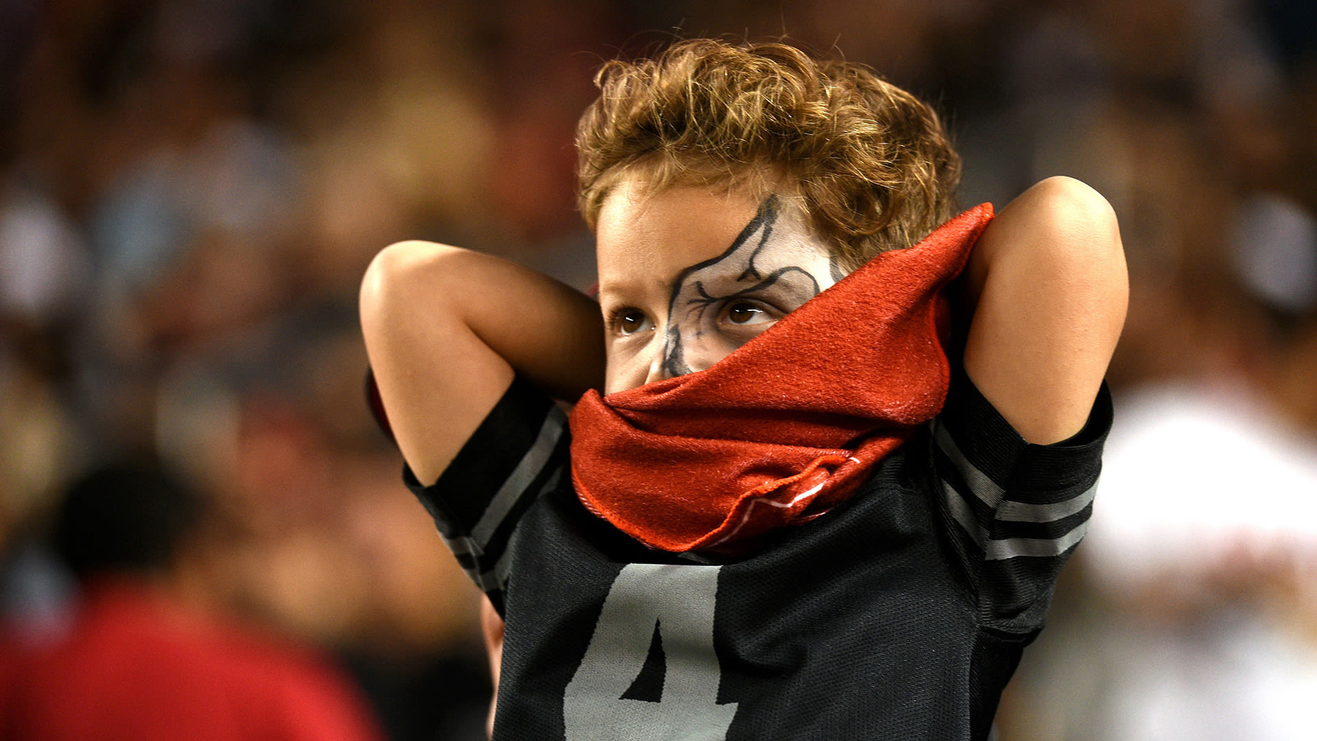 Watch Superfans: The Tribalism of Sports | Annals of Obsession | The ...