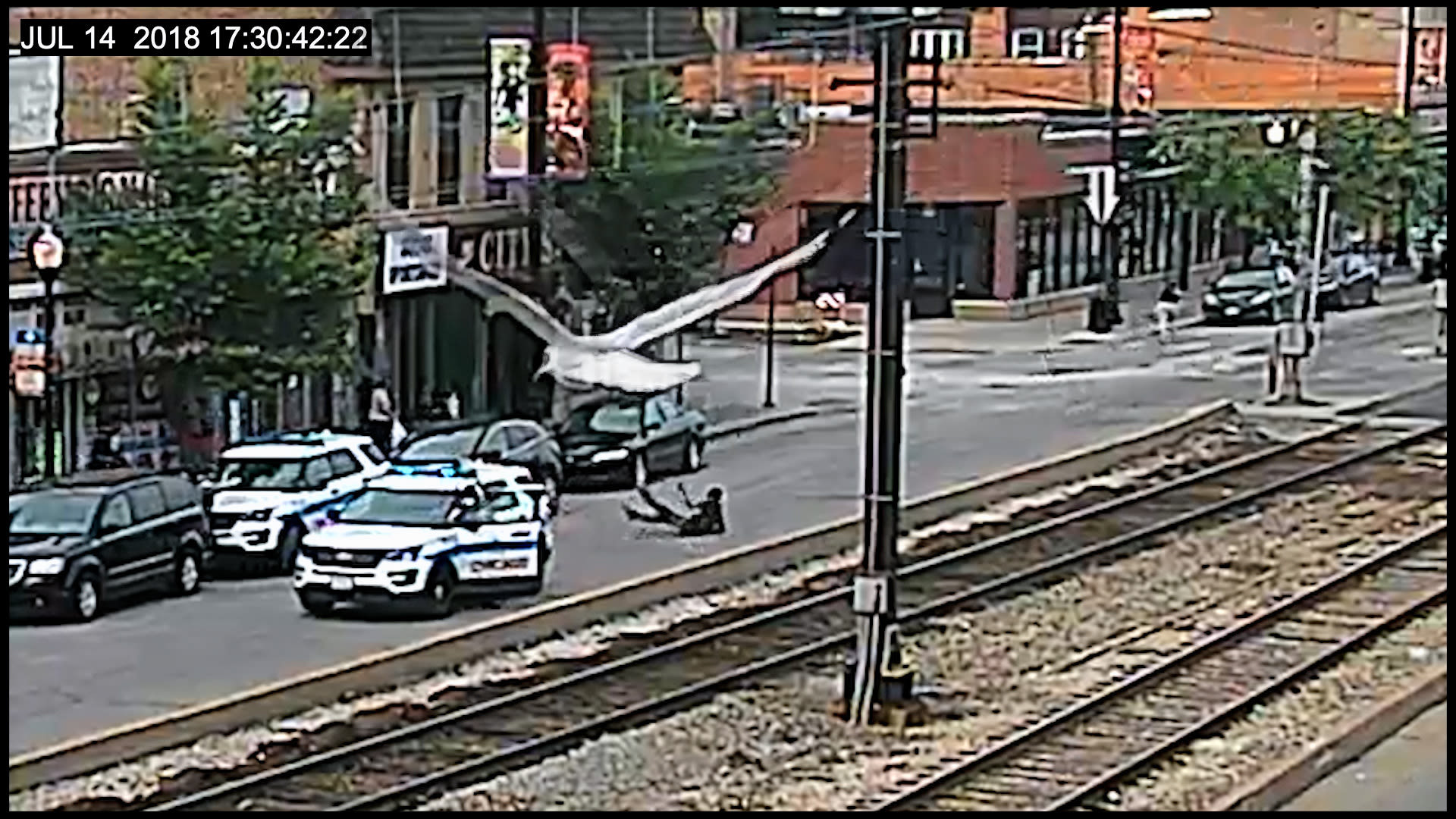 Incident Top 5 Most Common Incident Response Scenarios