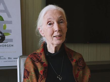 Watch Jane Goodall Wants YOU To Save The World | Teen Vogue Video | CNE