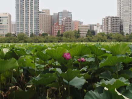 Watch Tokyo: Where Old Meets New | Vogue Video | CNE | Vogue.com