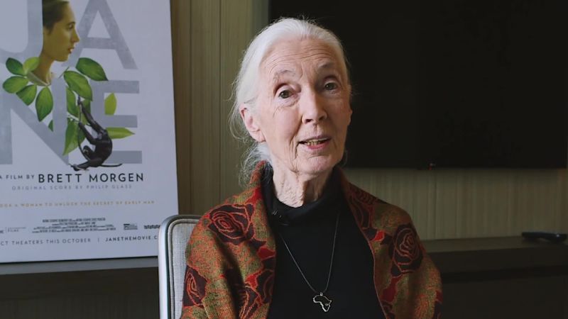 Watch Jane Goodall Wants YOU To Save The World | Teen Vogue Video | CNE