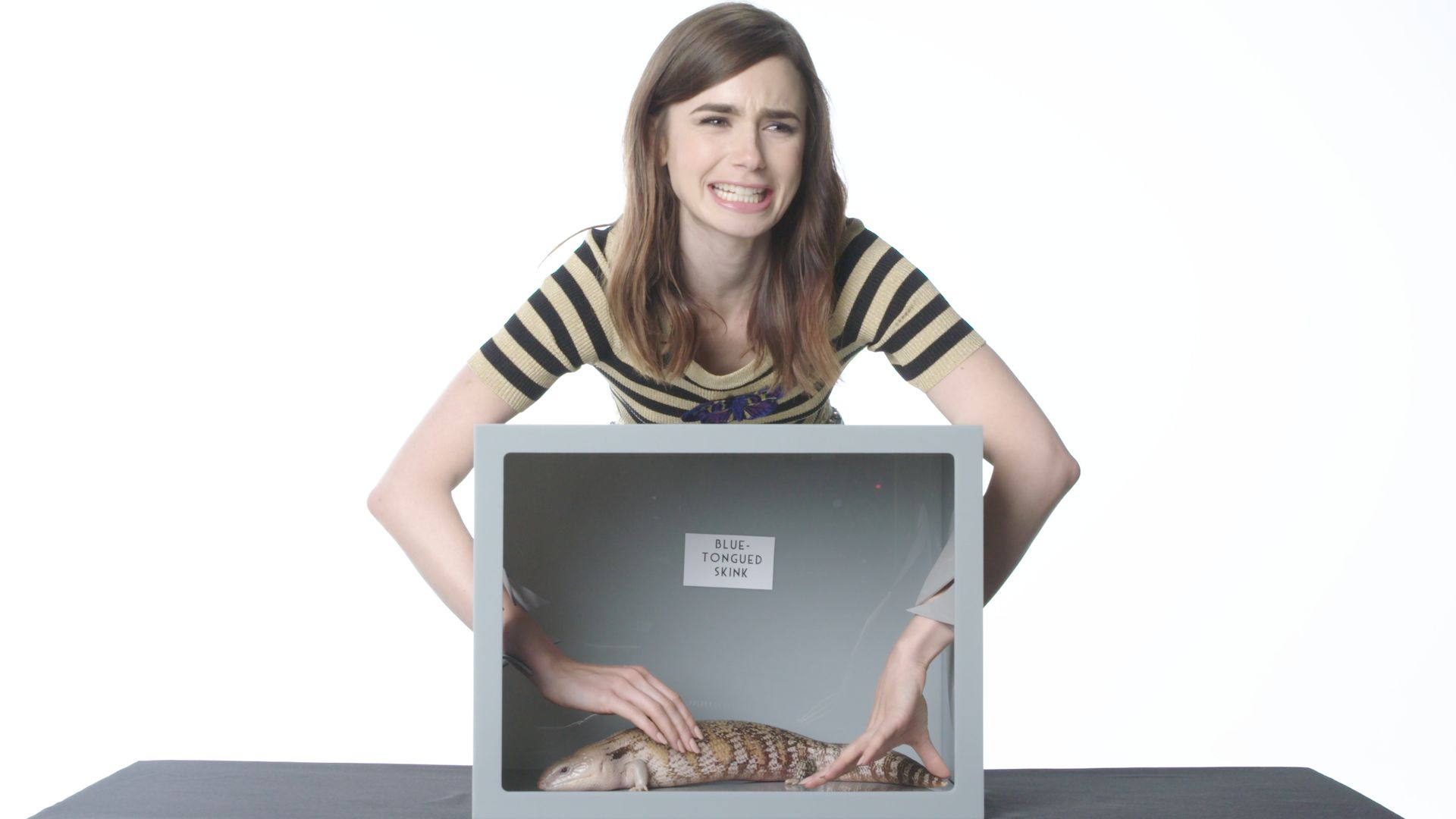 Watch Lily Collins Touches a Hedgehog, Cockroaches & Other Weird Stuff ...