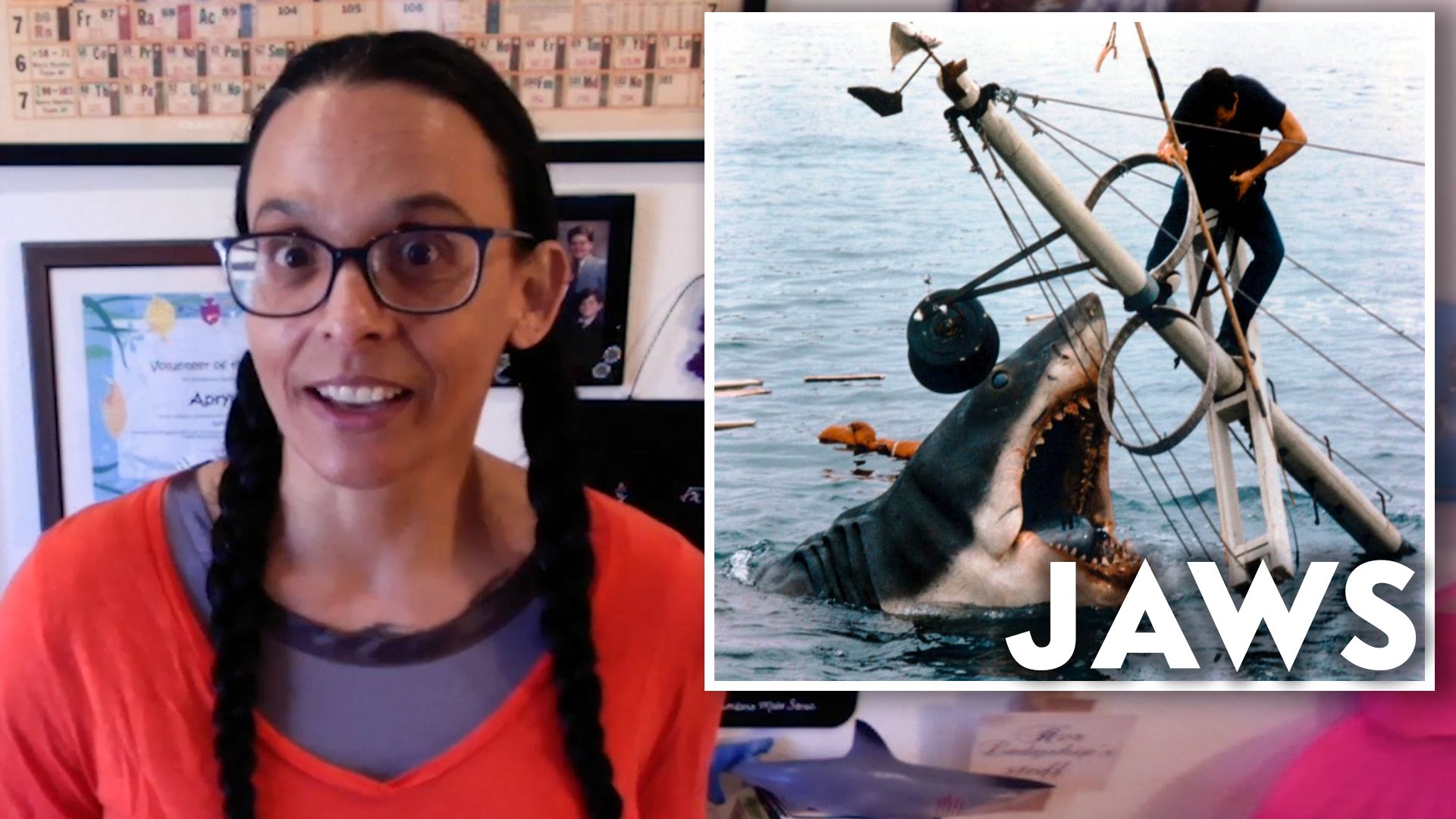 Watch Marine Scientist Reviews Shark Attack Scenes, from 'Jaws' to ...
