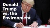 Watch Donald Trump vs. the Environment | Vanity Fair Video | CNE ...