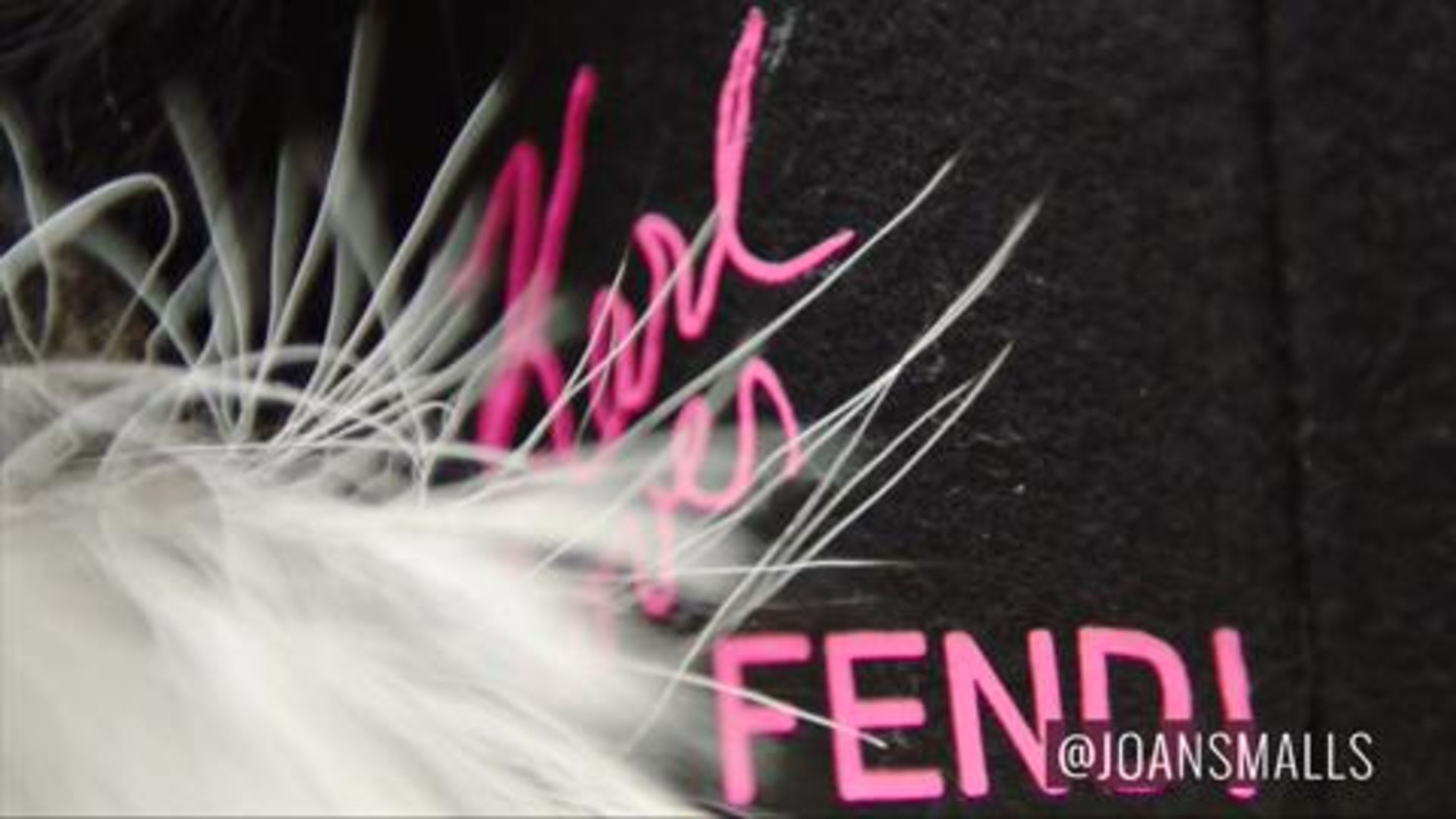 Watch Where is Karlito? | Vanity Fair Italia