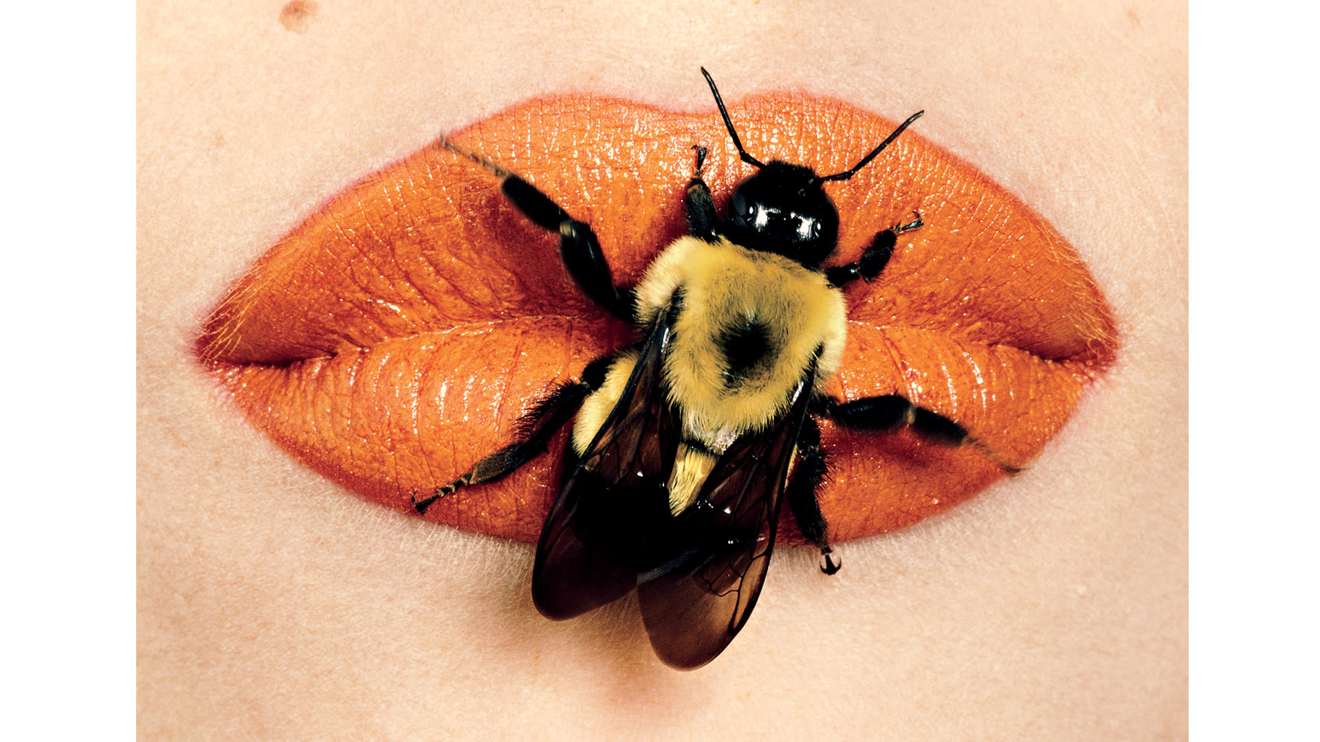 Watch Turning the Pages of Stoppers With Vogue’s Executive Fashion ...