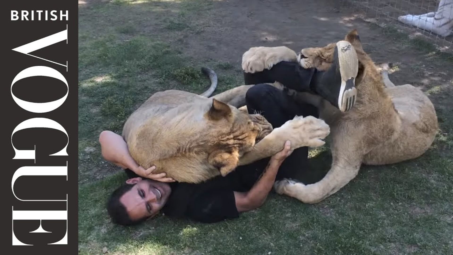 Watch Miss Vogue Meets: Big cats and baby tigers | British Vogue