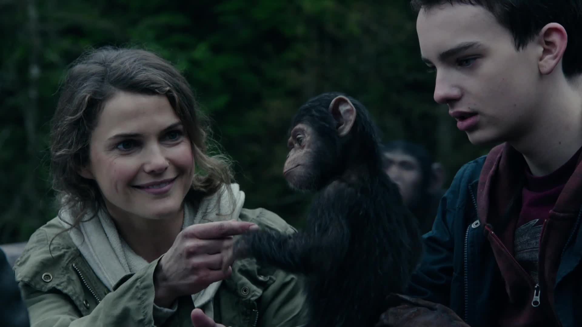 Watch How to Survive a Real-Life "Dawn of the Planet of the Apes ...