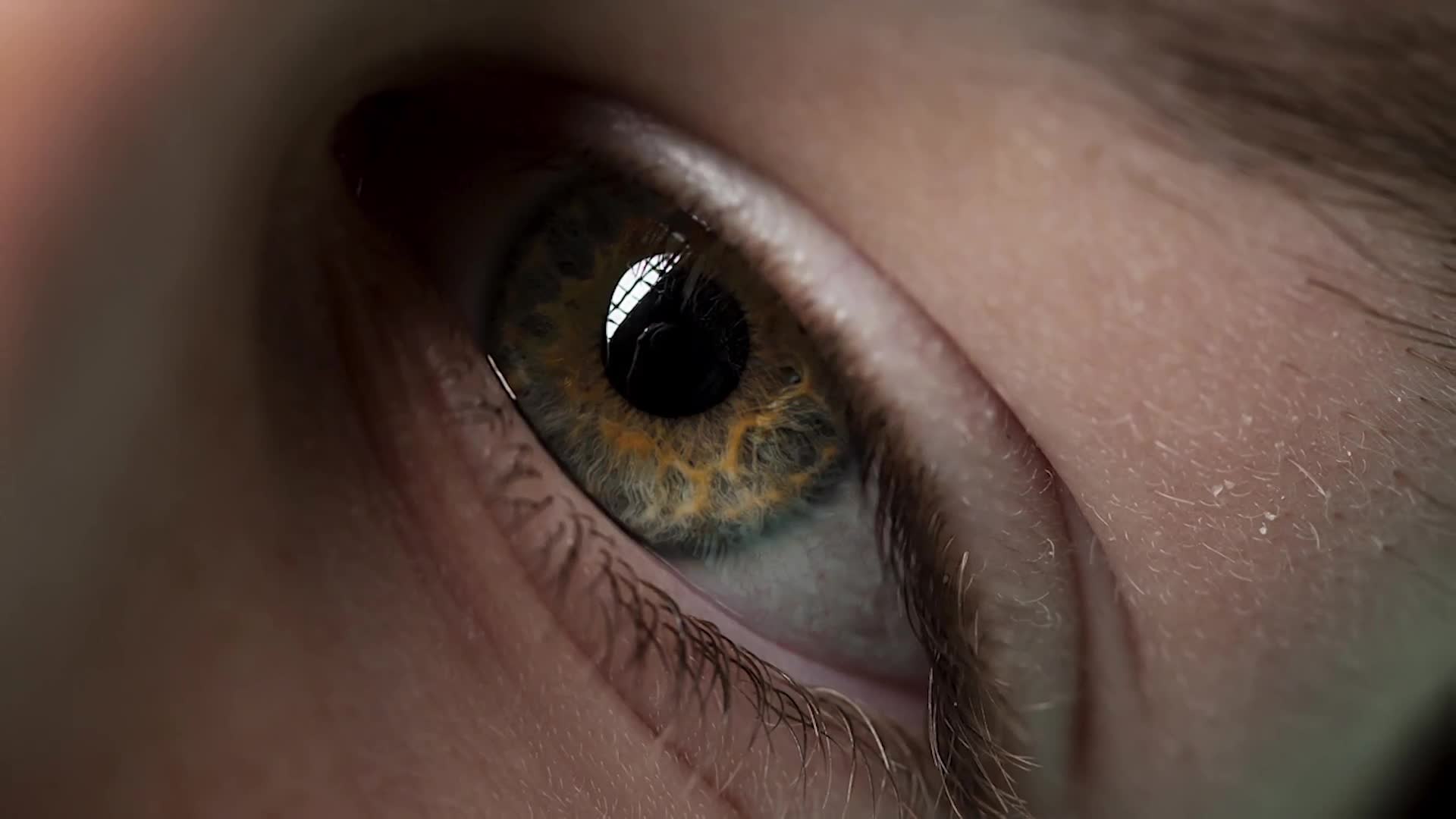 Watch Talking Pictures: Sam’s Cure | WIRED