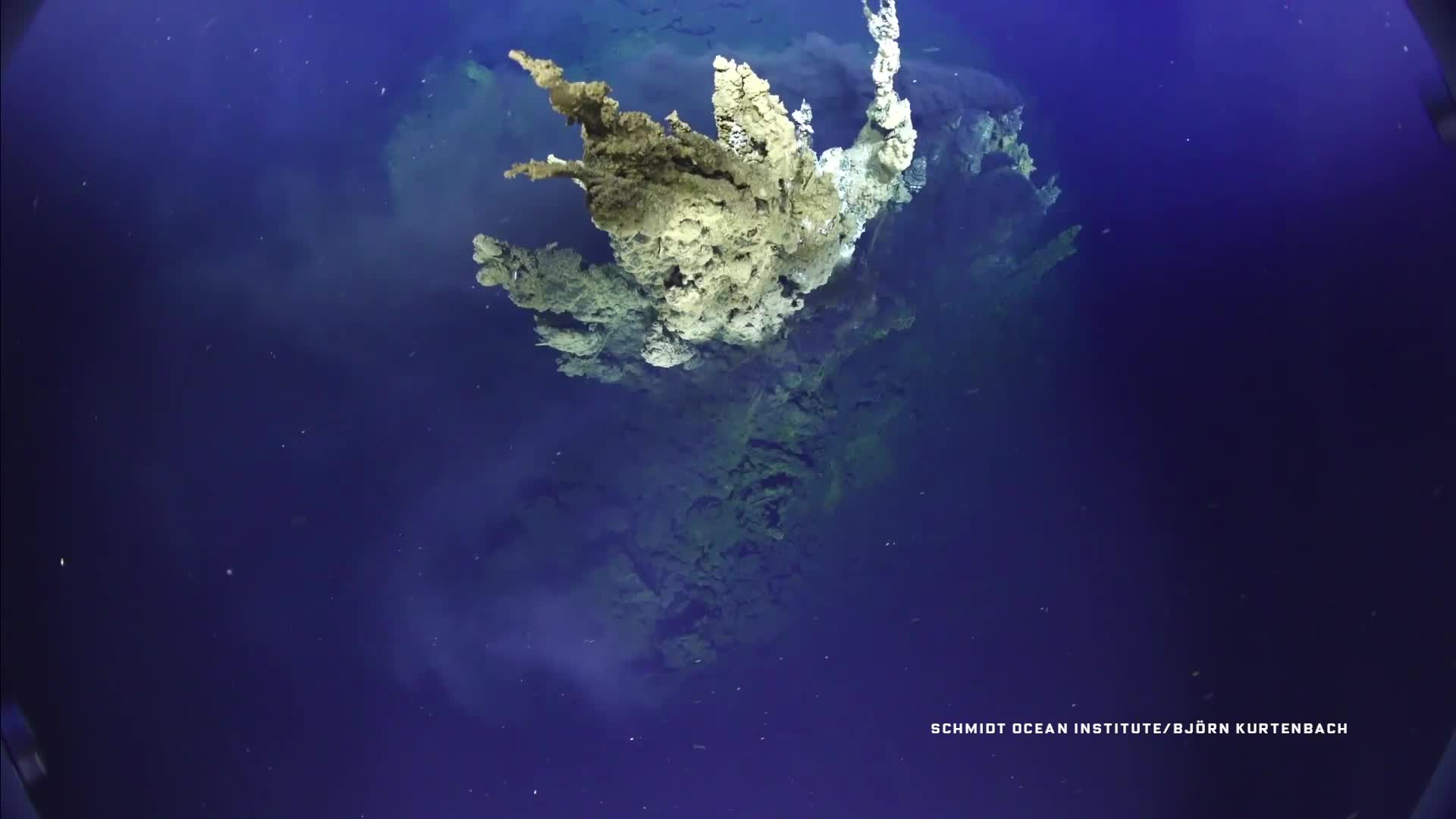 Watch Visit a Roiling Deep-Sea Vent in Glorious VR | WIRED