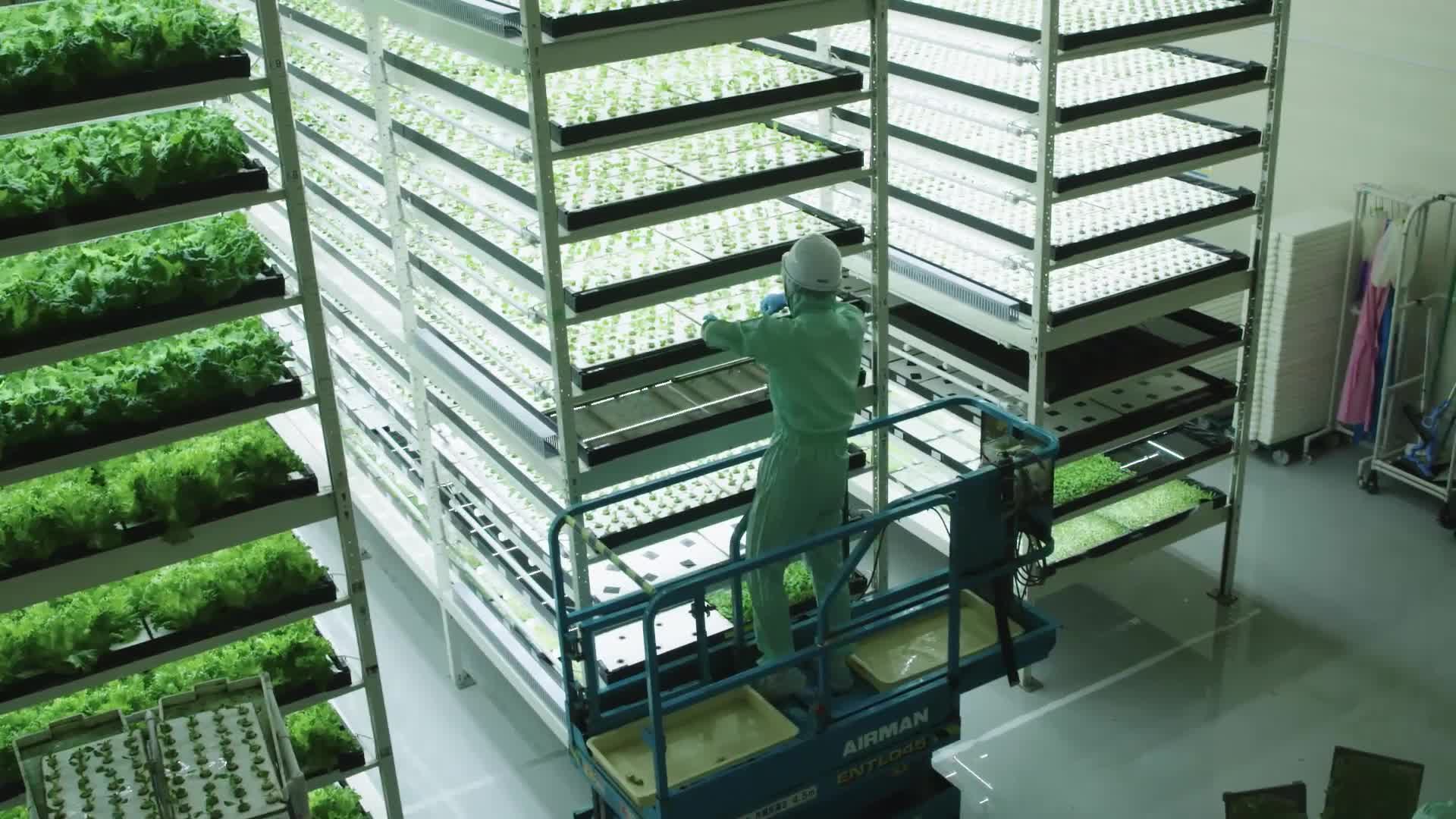 Watch Urban Farming in Tokyo | Shaping Smarter Cities | WIRED