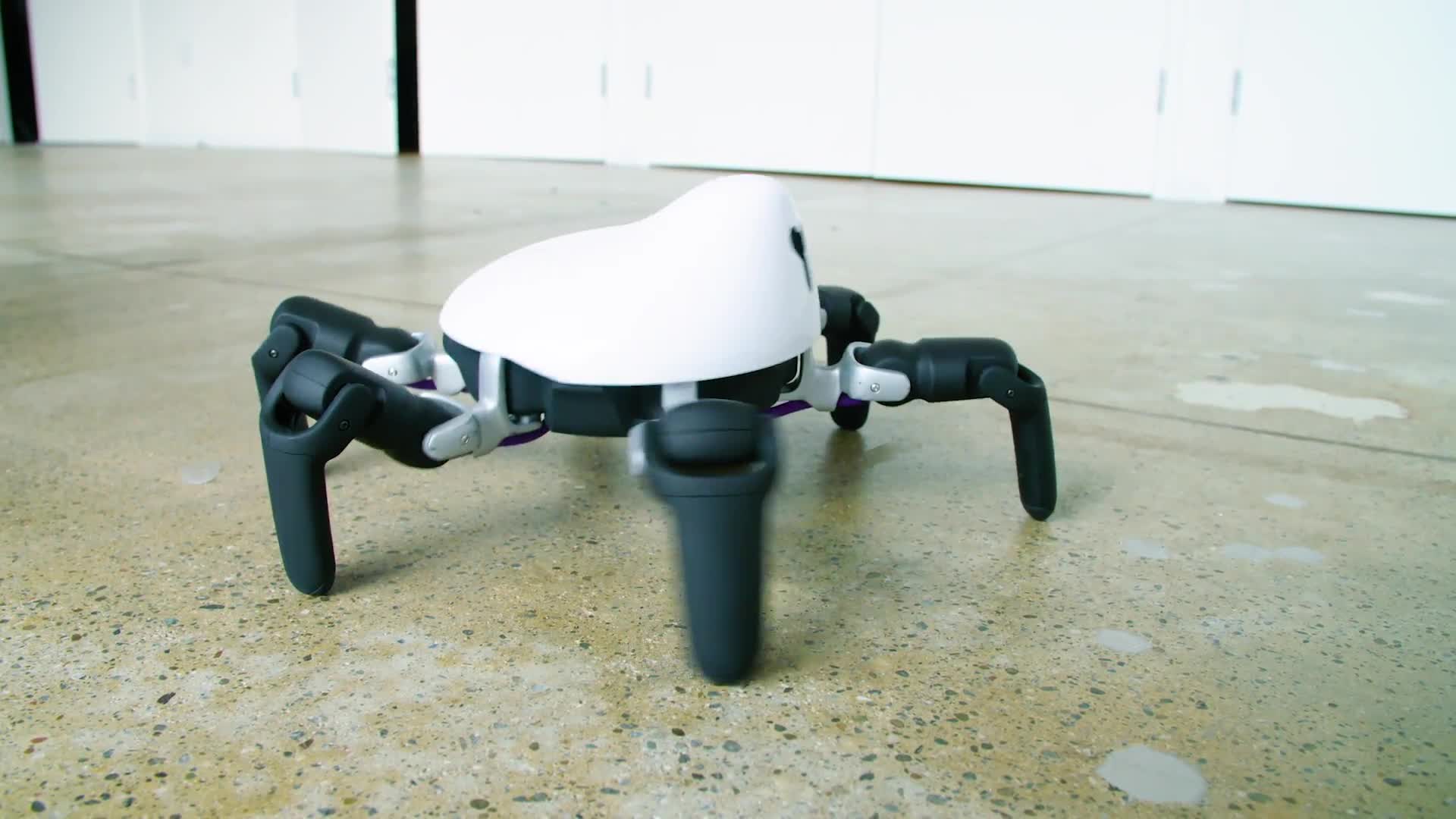 Watch 2017: The Year Robots Went Everywhere | WIRED