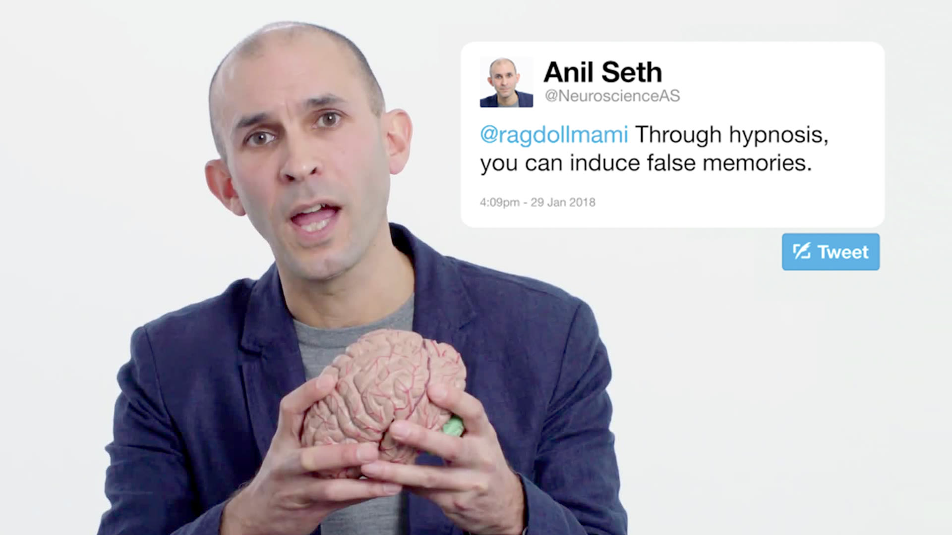 Watch Neuroscientist Anil Seth Answers Neuroscience Questions From ...
