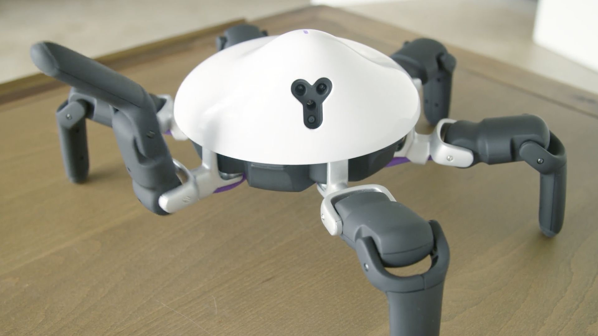 Watch Biobots: Snakebot, Batbot, and More Fantastical Machines Inspired ...