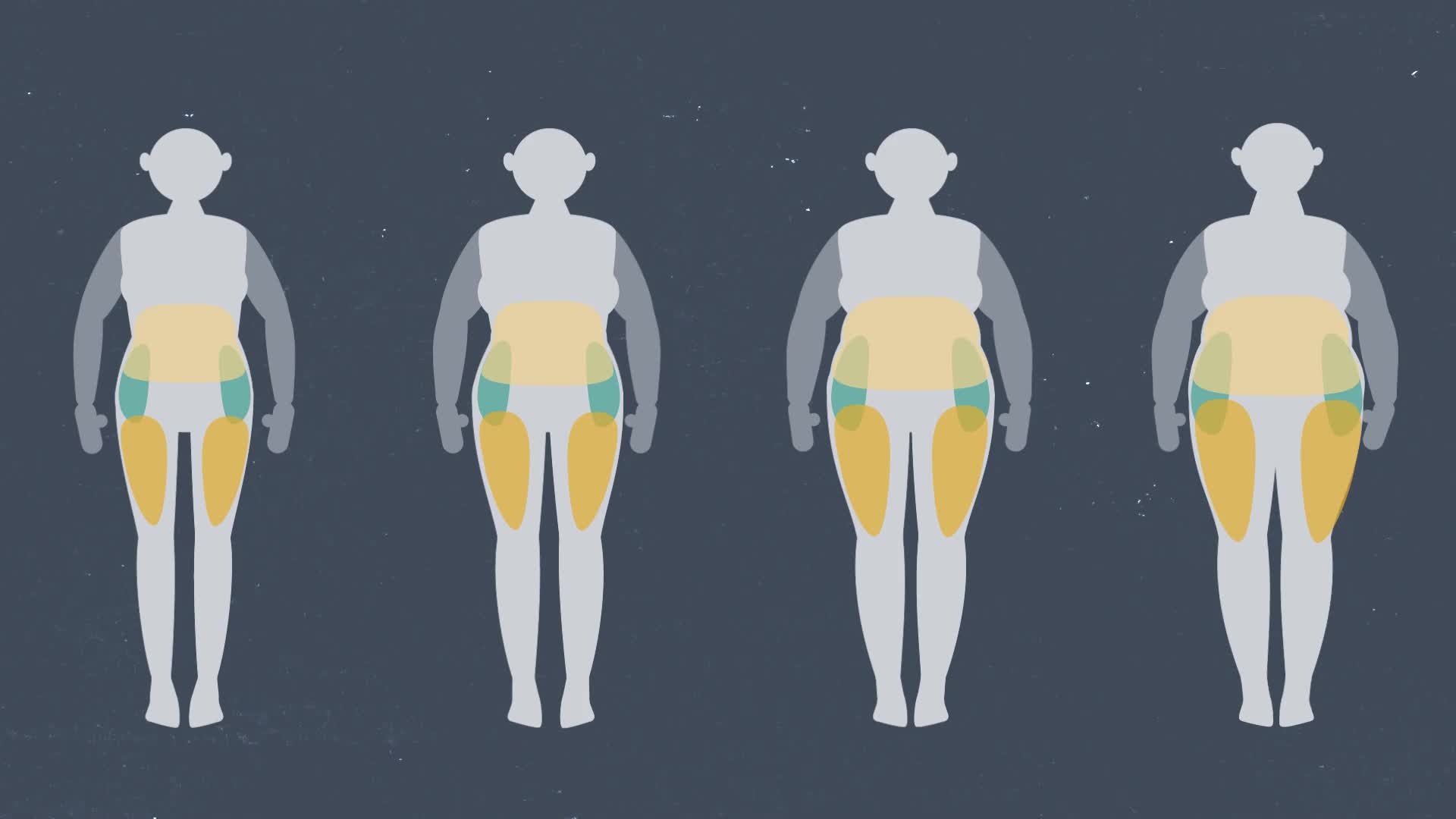 Watch The Science Behind Weight | WIRED Brand Lab | WIRED