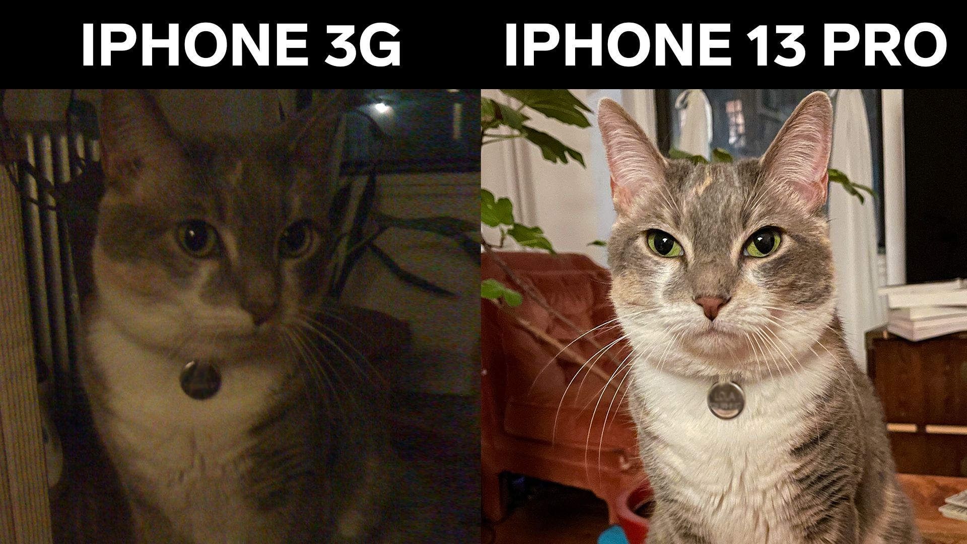 Watch Why Smartphone Night Photos Are So Good Now | Currents | WIRED