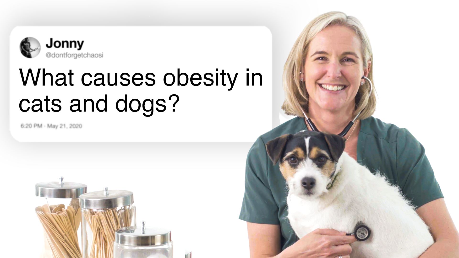 Watch Veterinarian Answers Pet Questions From Twitter Tech Support