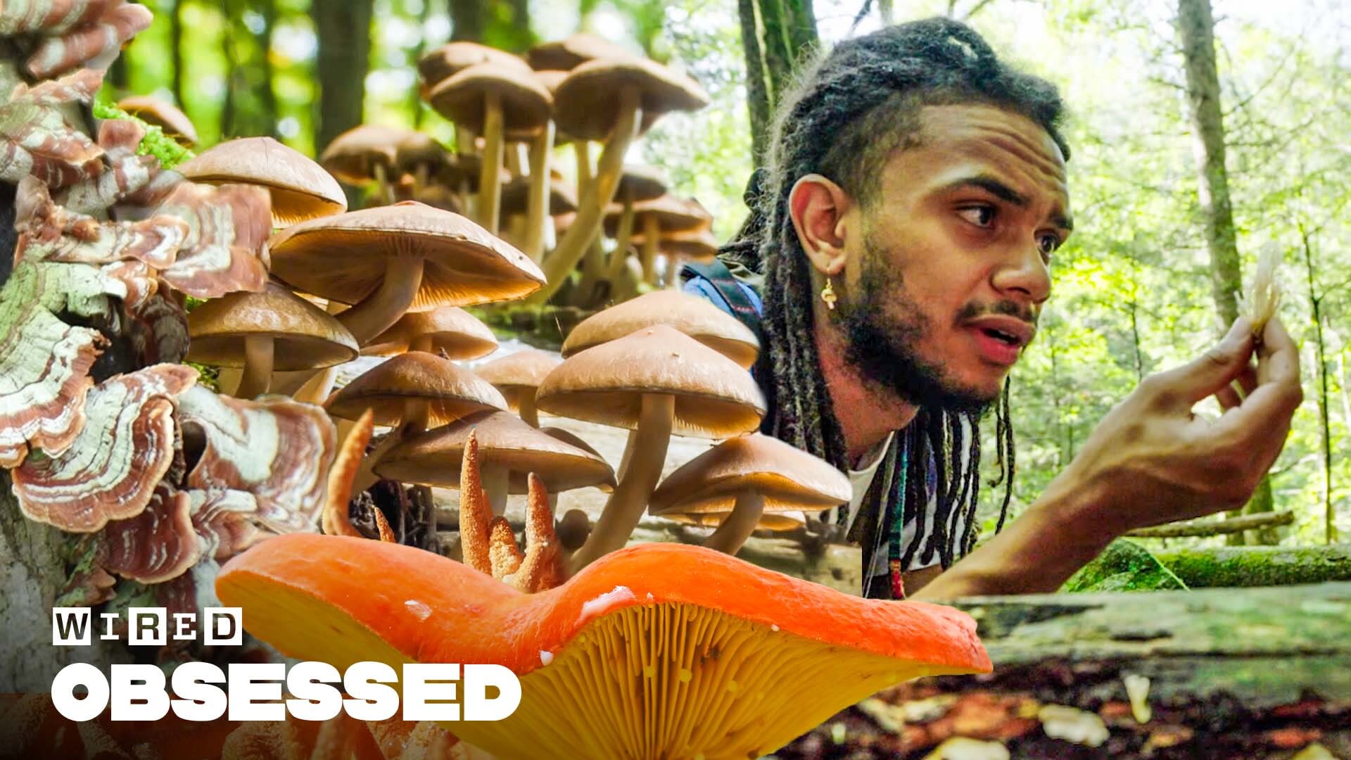 Watch Meet the Self-Taught Medicinal Mushroom Cultivator | Obsessed | WIRED