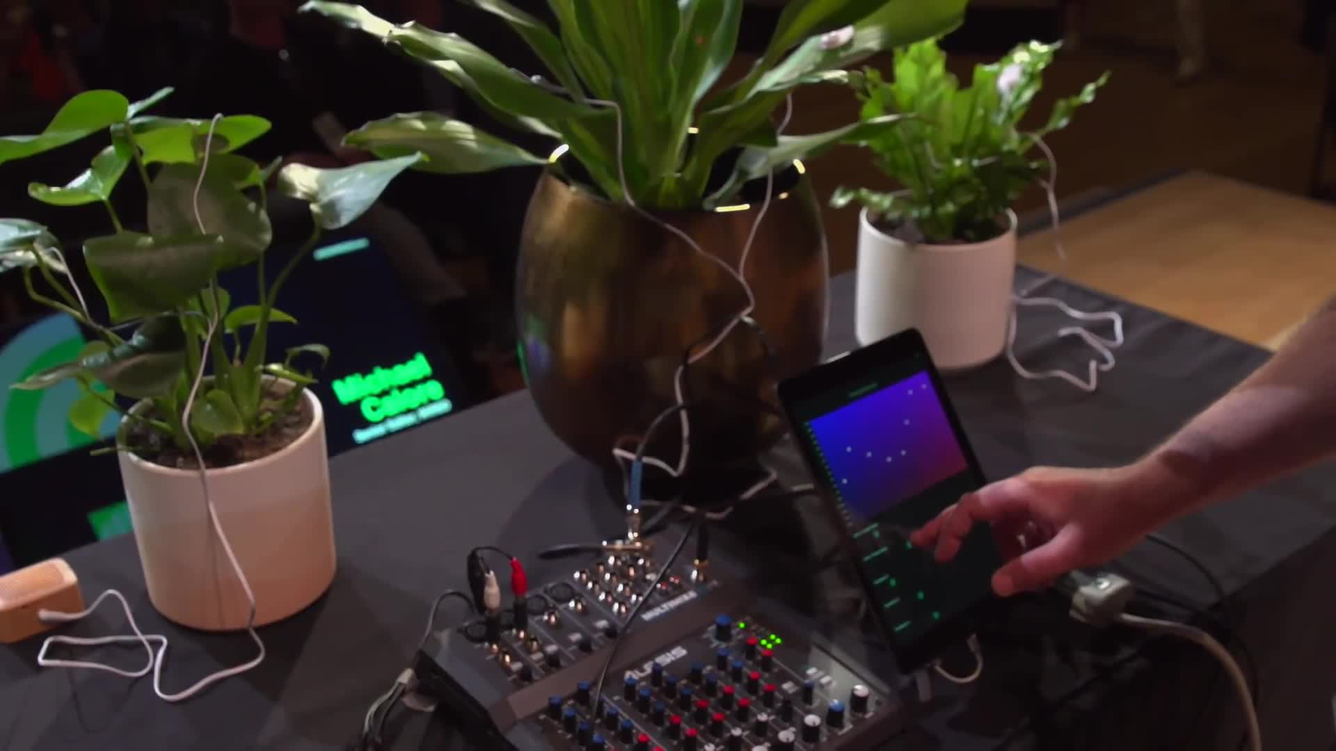 Watch RE:WIRED GREEN 2022: THE MUSIC OF PLANTS | WIRED