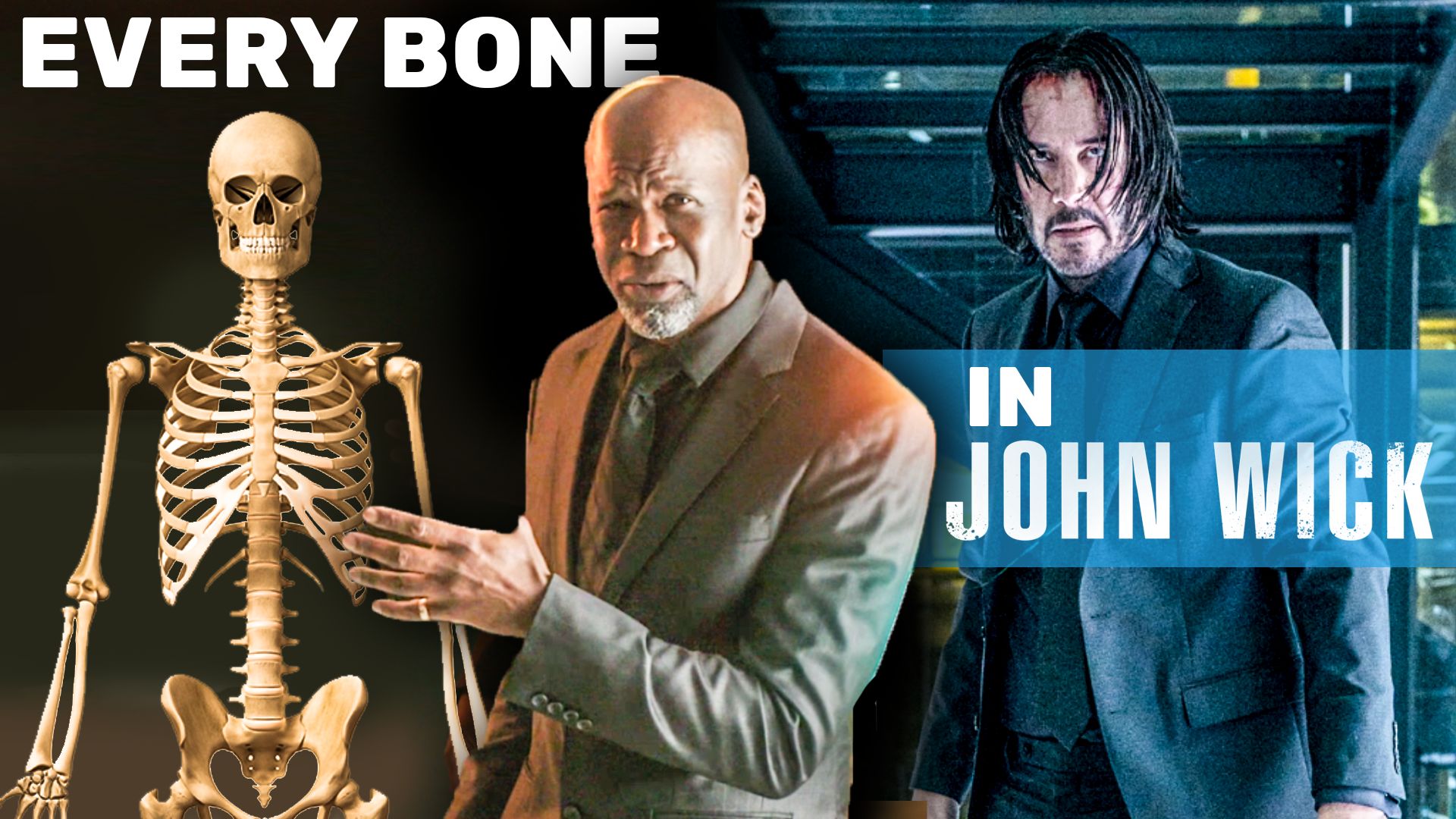 Watch Every Bone in the Human Body Explained Using John Wick | Each and ...