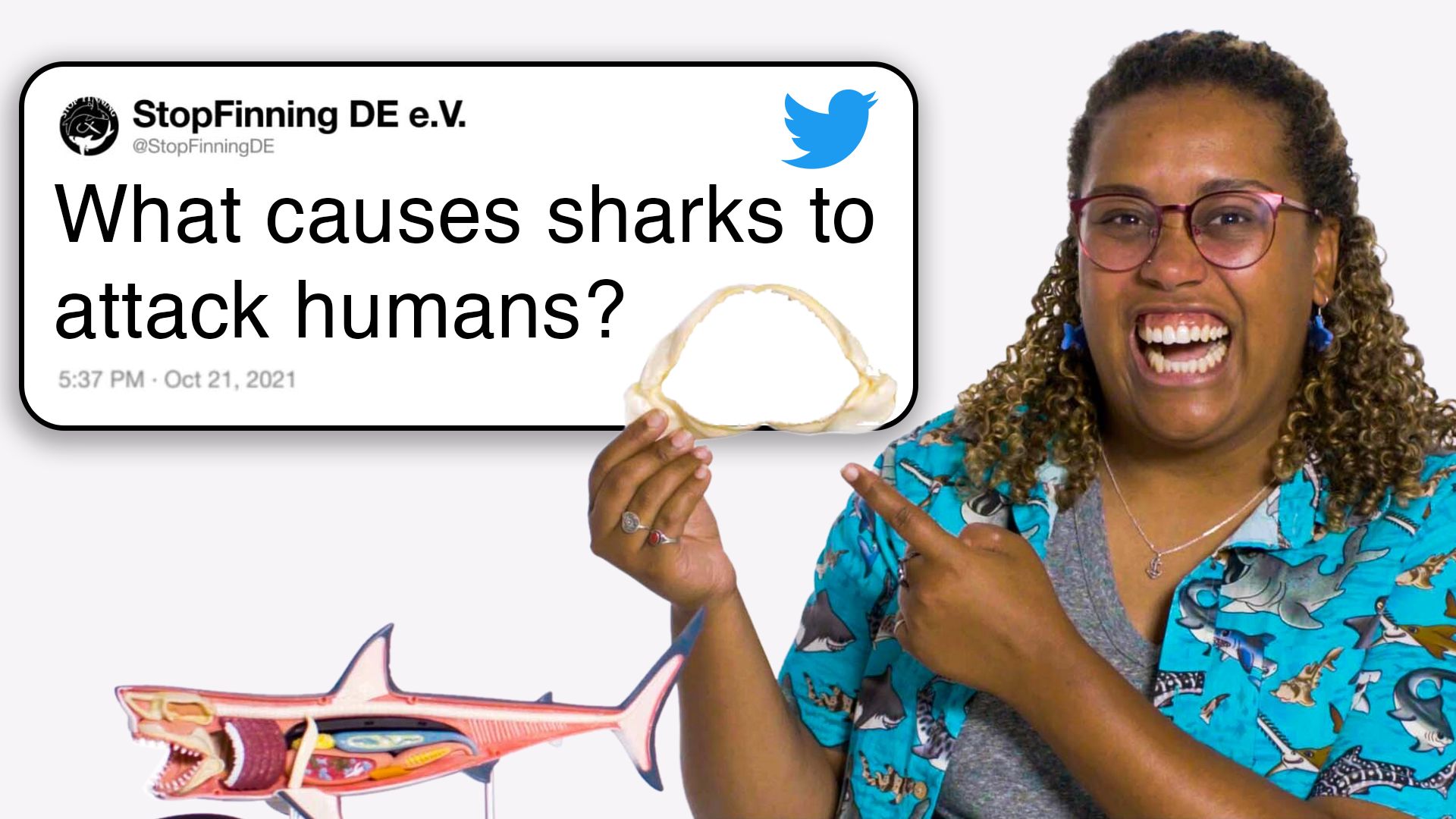 Watch Marine Biologist Answers Shark Questions From Twitter | Tech ...